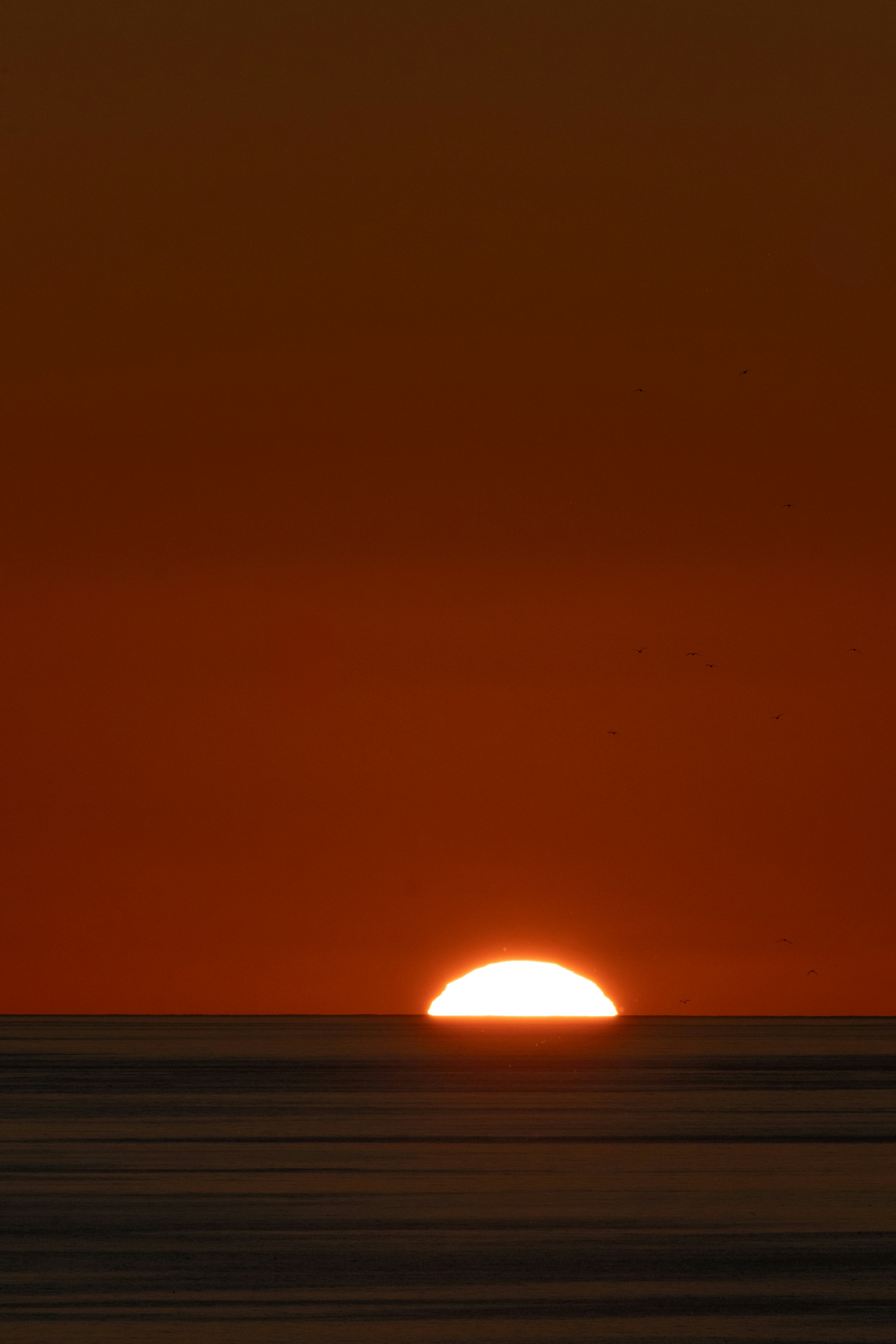 The Horizon's Embrace: A Sunset Unveiled