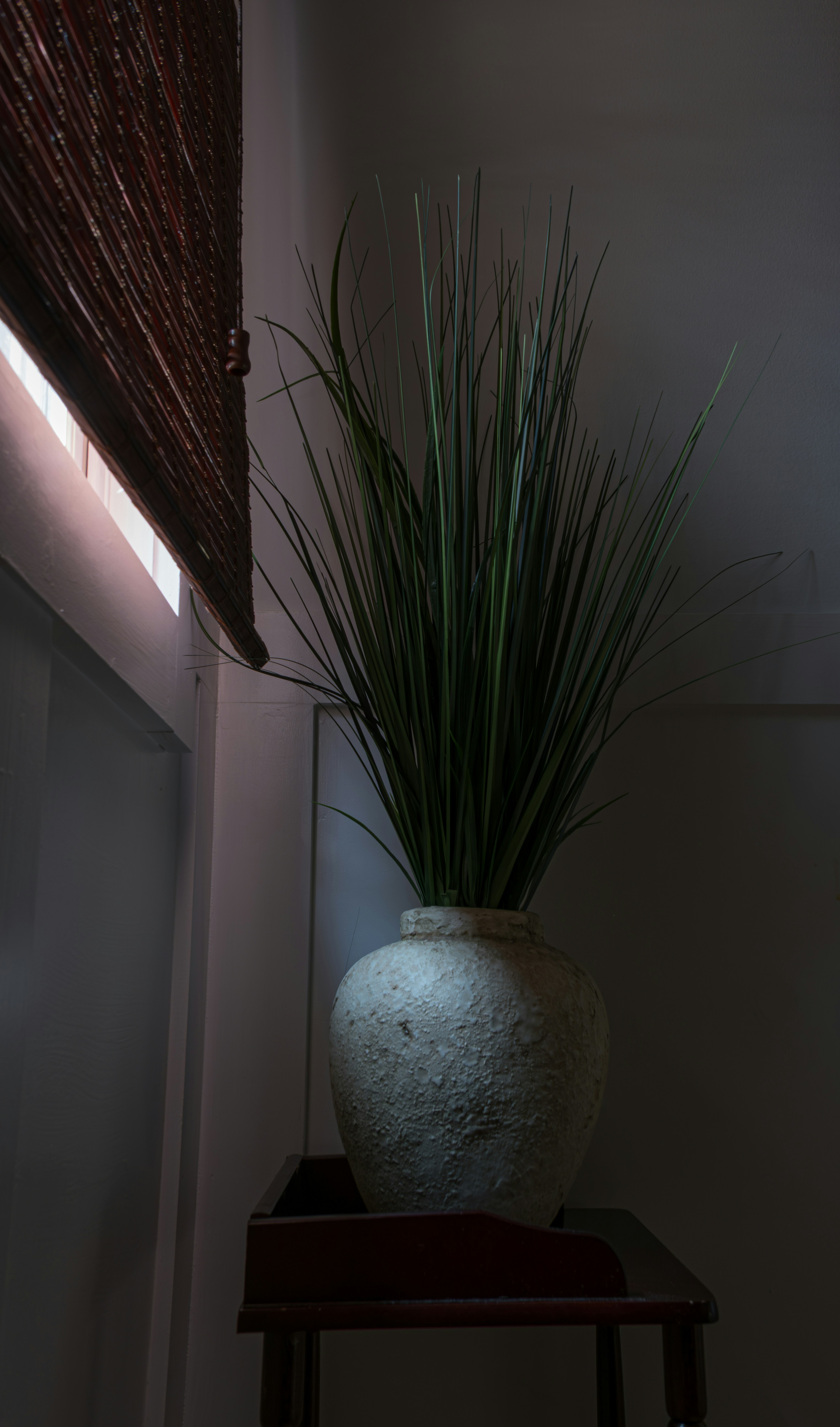 Whispers of Green: A Serene Still Life