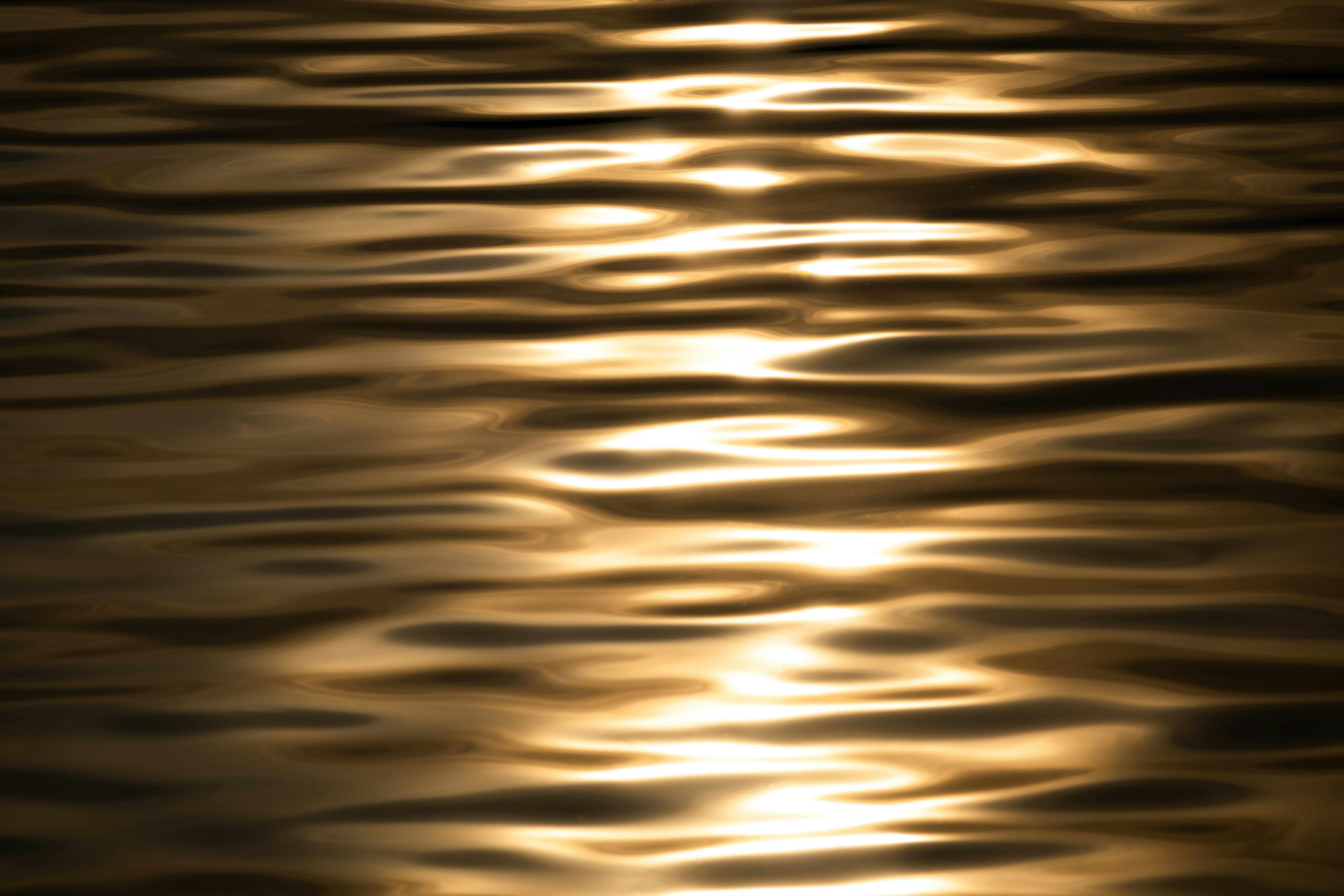 Golden Ripples: Nature's Liquid Canvas