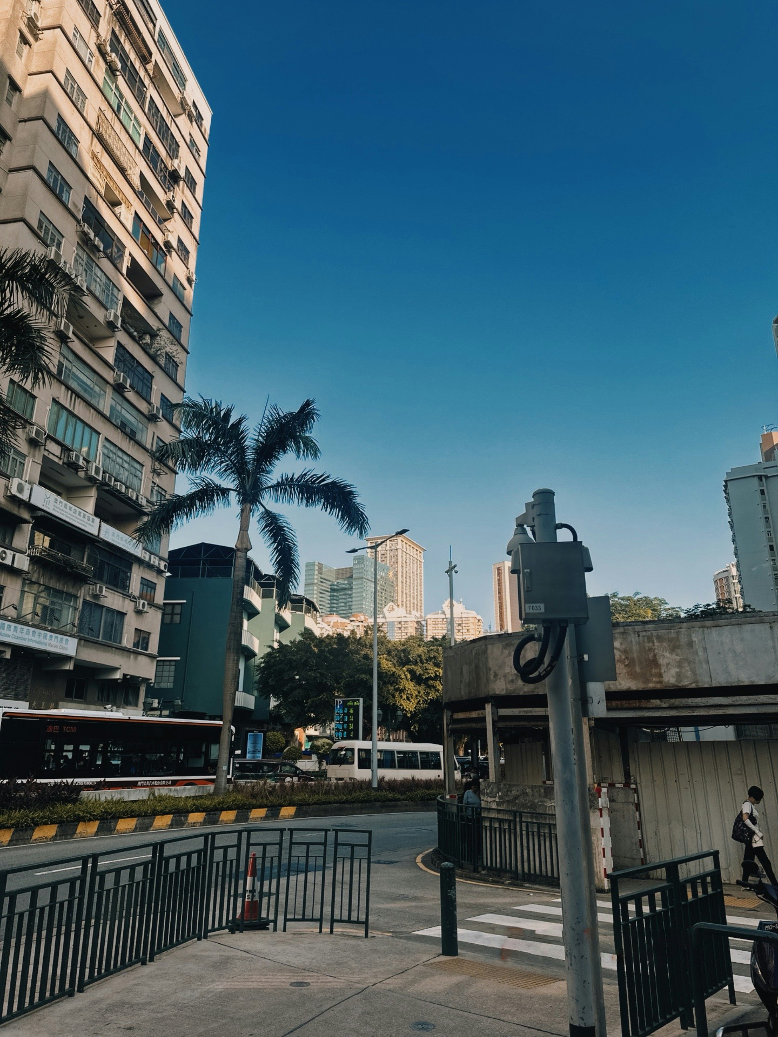 Urban Symphony: A Dance of Architecture and Nature