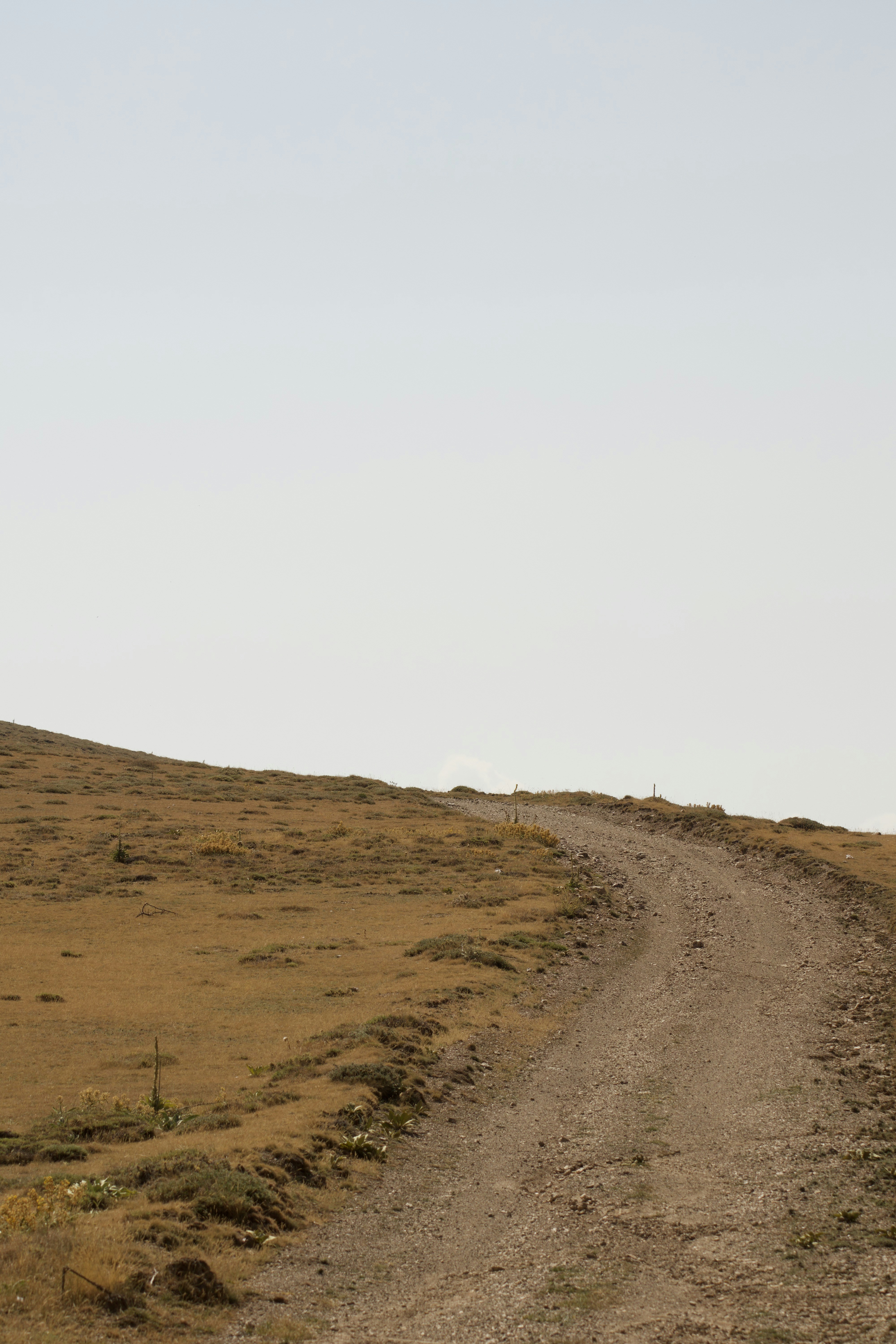 A dirt road meanders through a golden landscape under a clear sky. The scene evokes a sense of adventure and exploration.