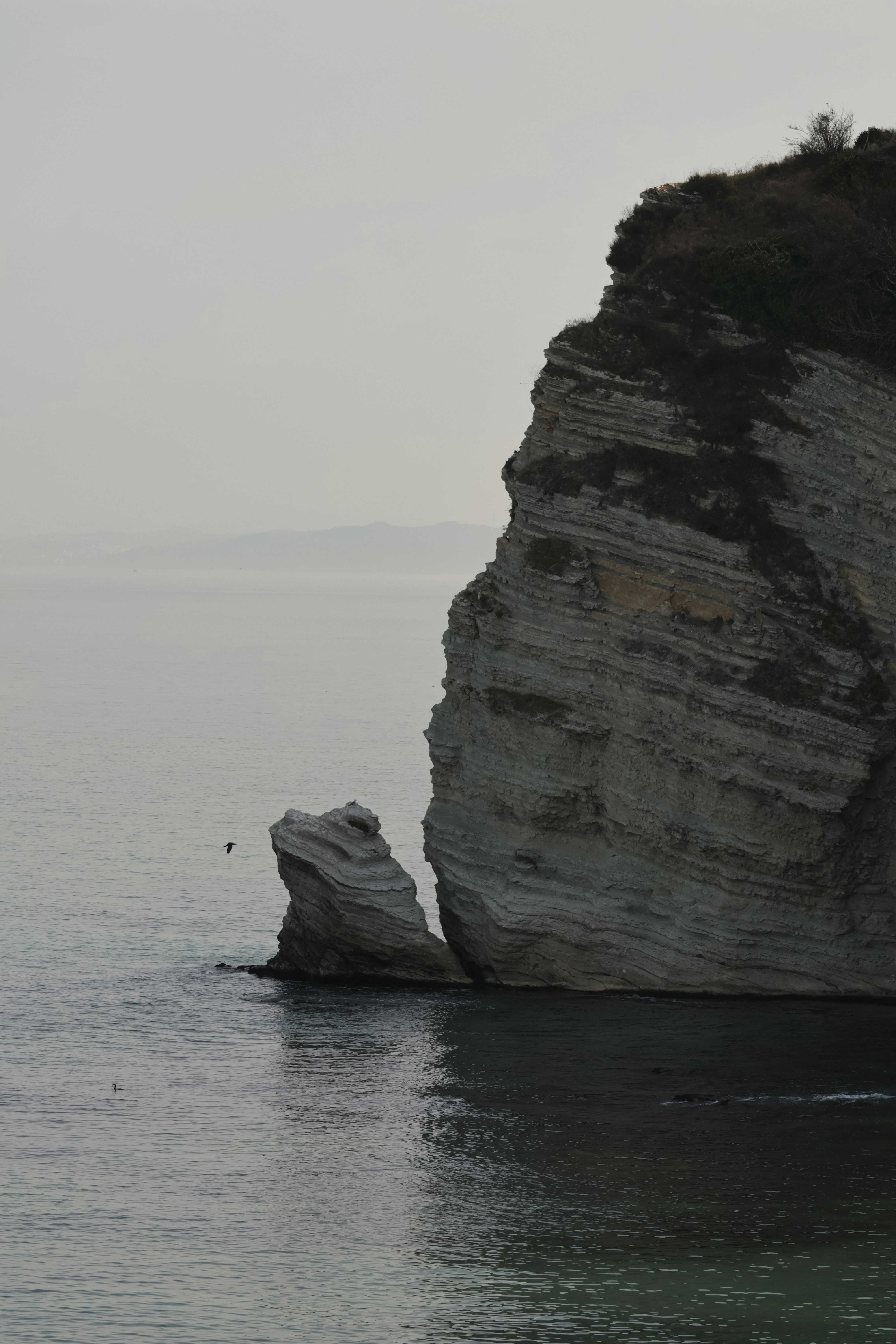 Whispers of the Shoreline: A Rocky Embrace