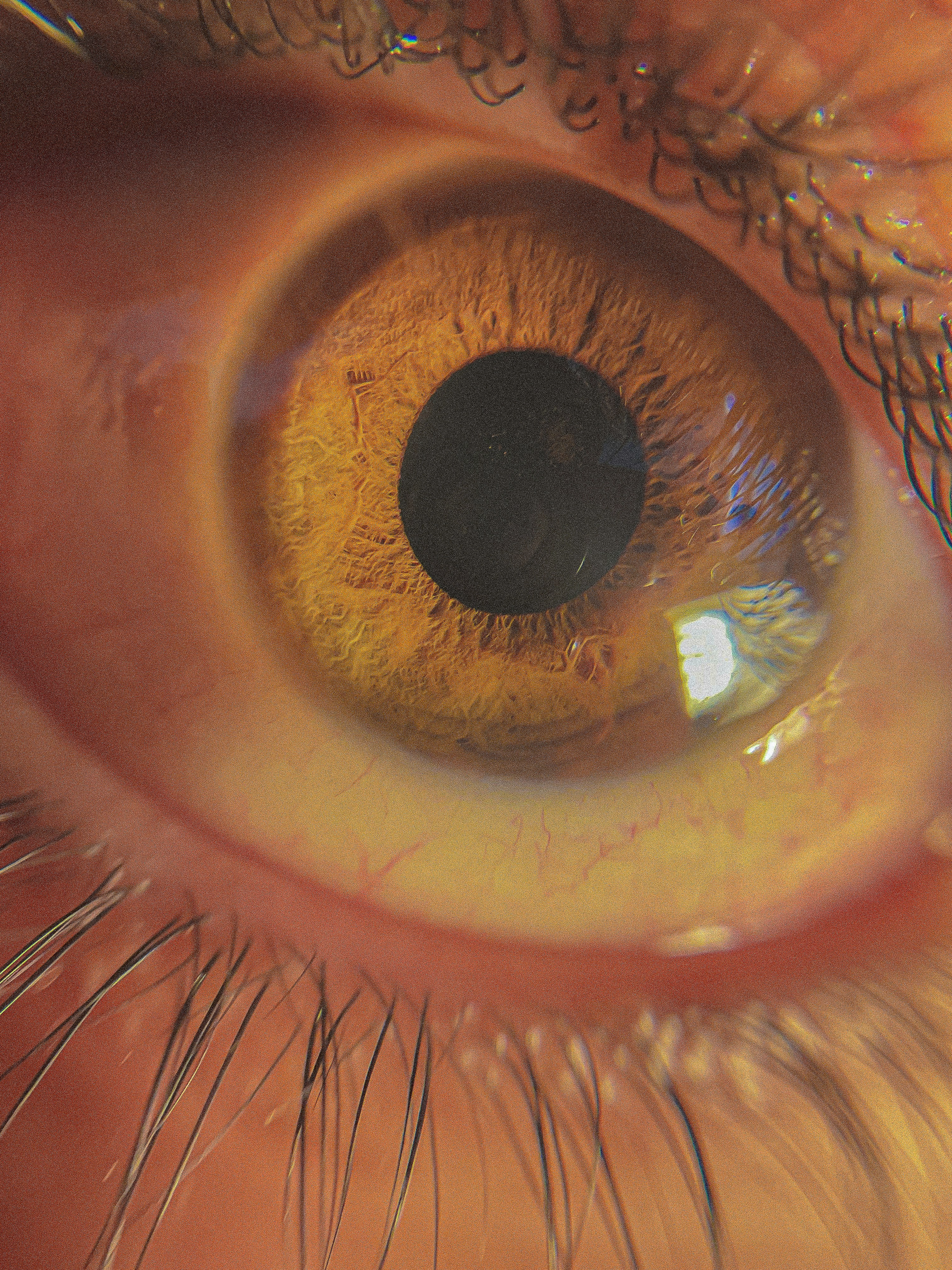 The Golden Gaze: A Study of Human Emotion
