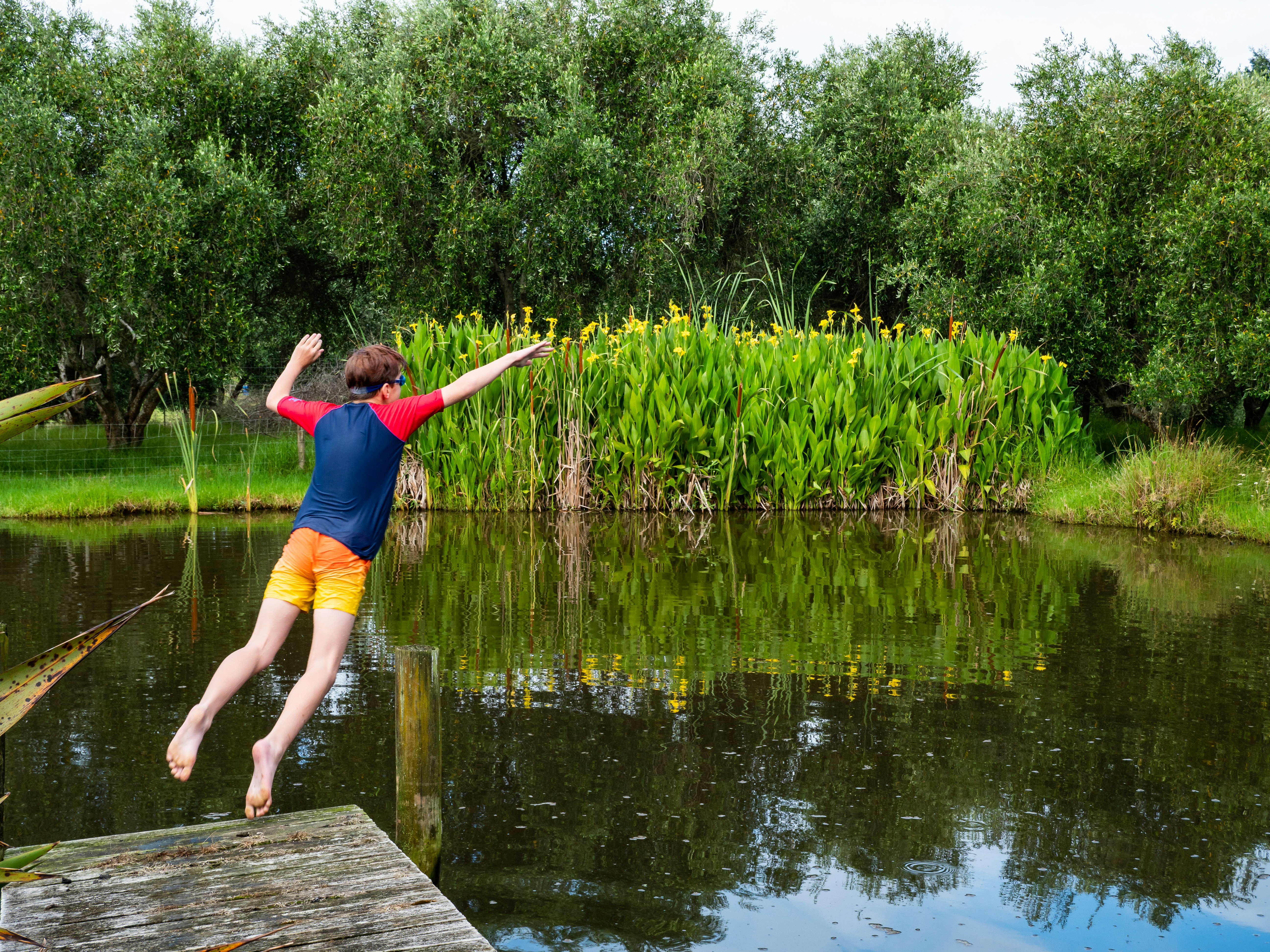 The Leap into Nature's Embrace