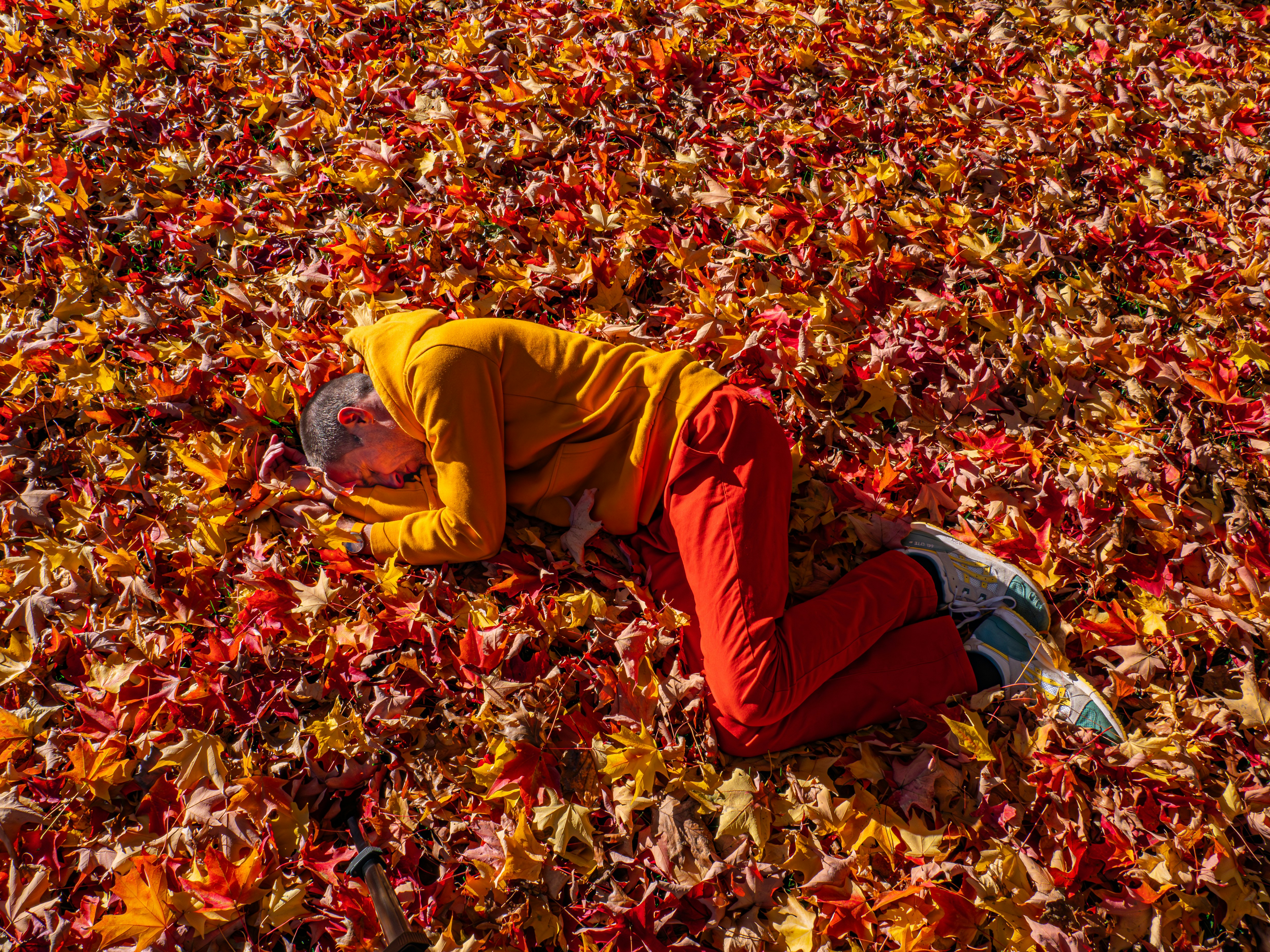 A Cozy Embrace of Autumn's Palette