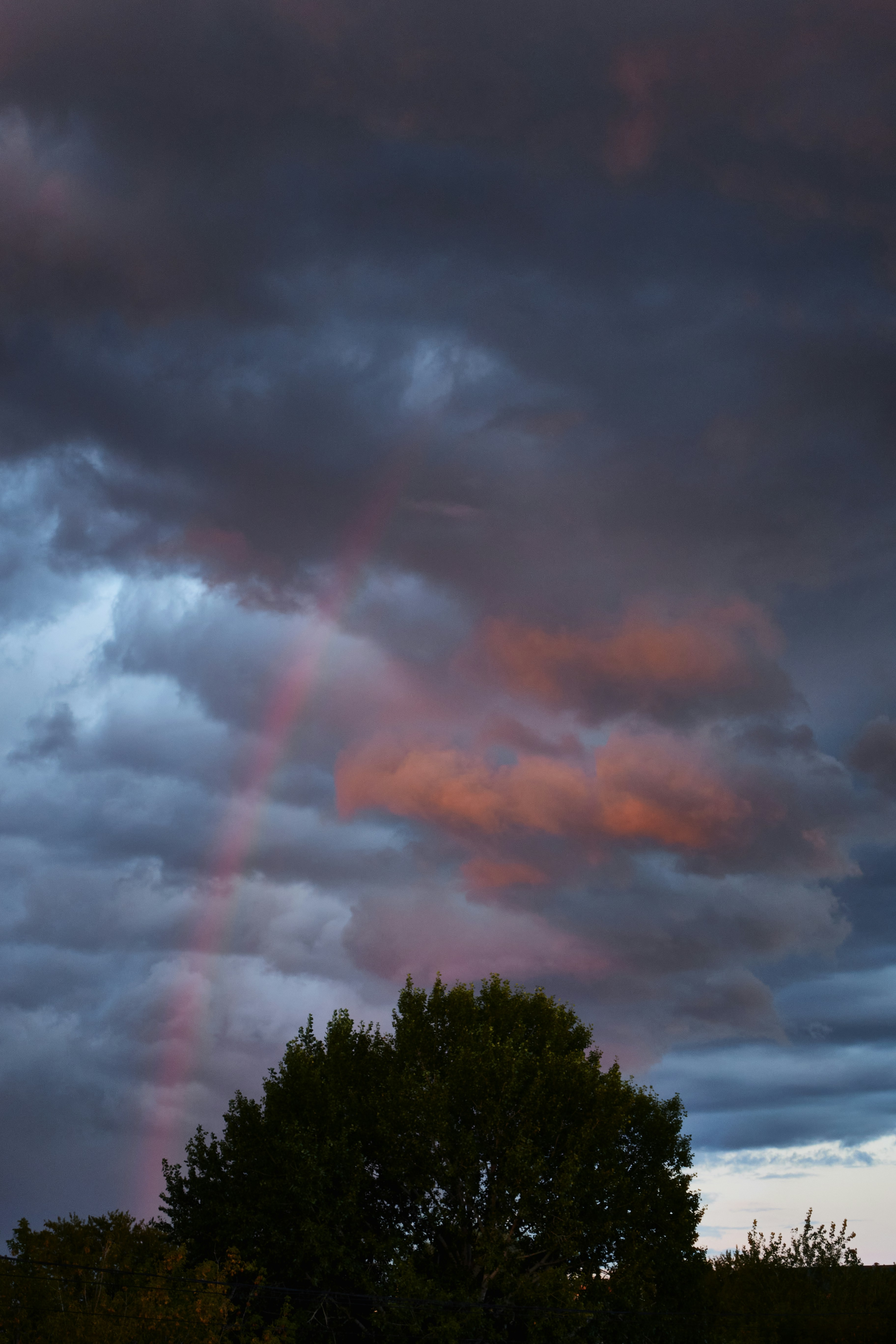 Whispers of Color Amidst the Storm