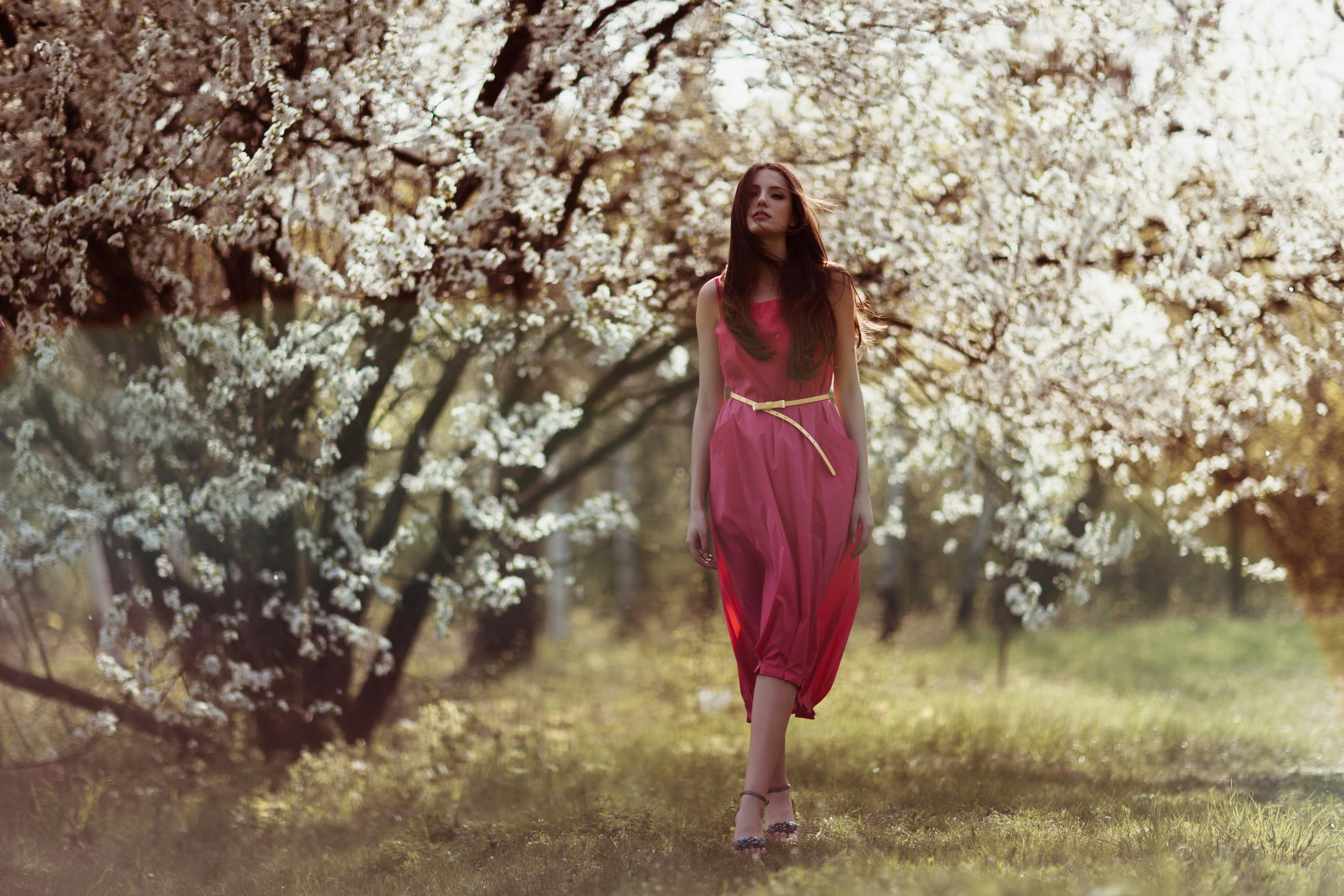 Woman walking through a blooming orchard in spring orchard.