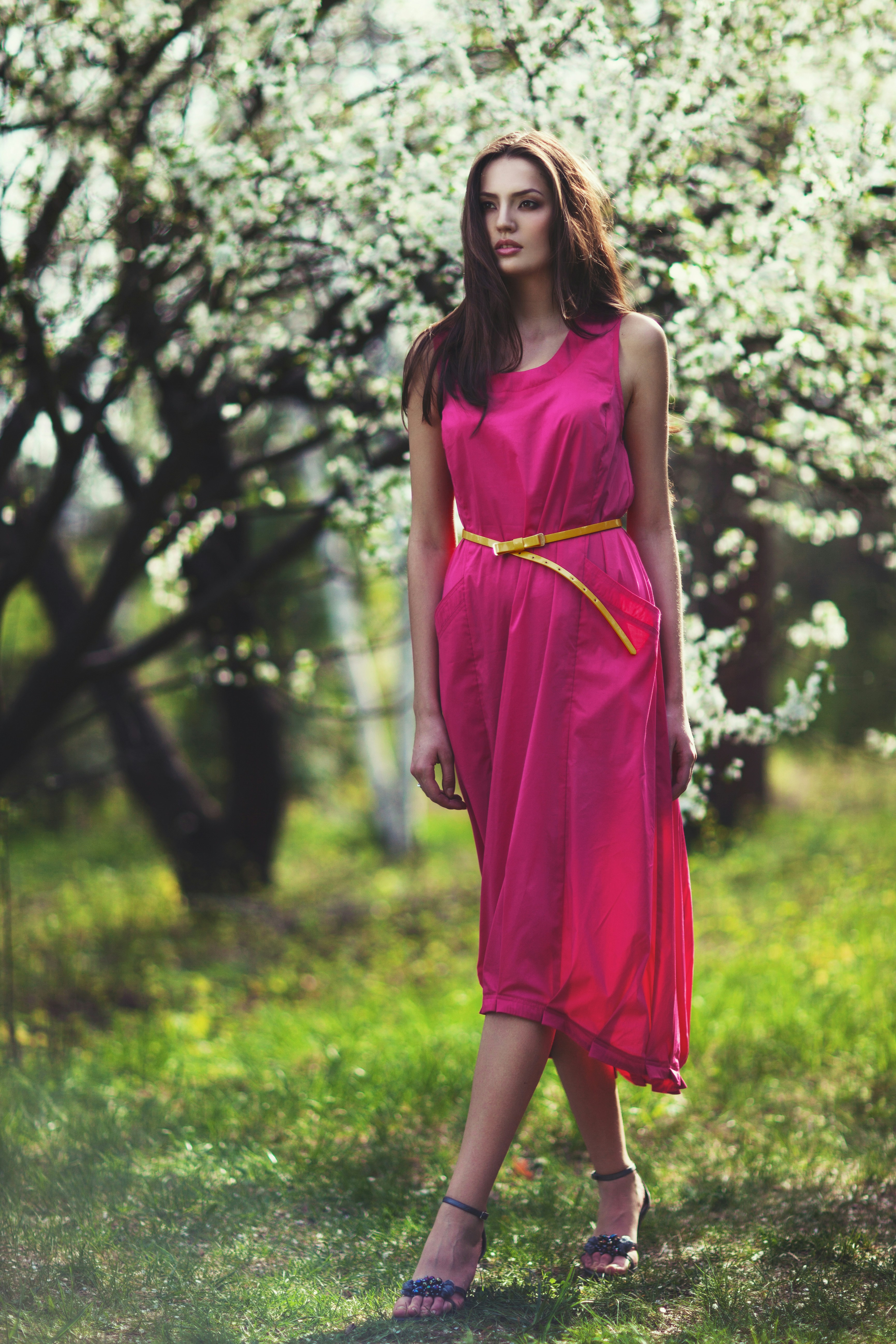 Scarlet in Bloom: A Portrait Amid Fragrant Blossoms
