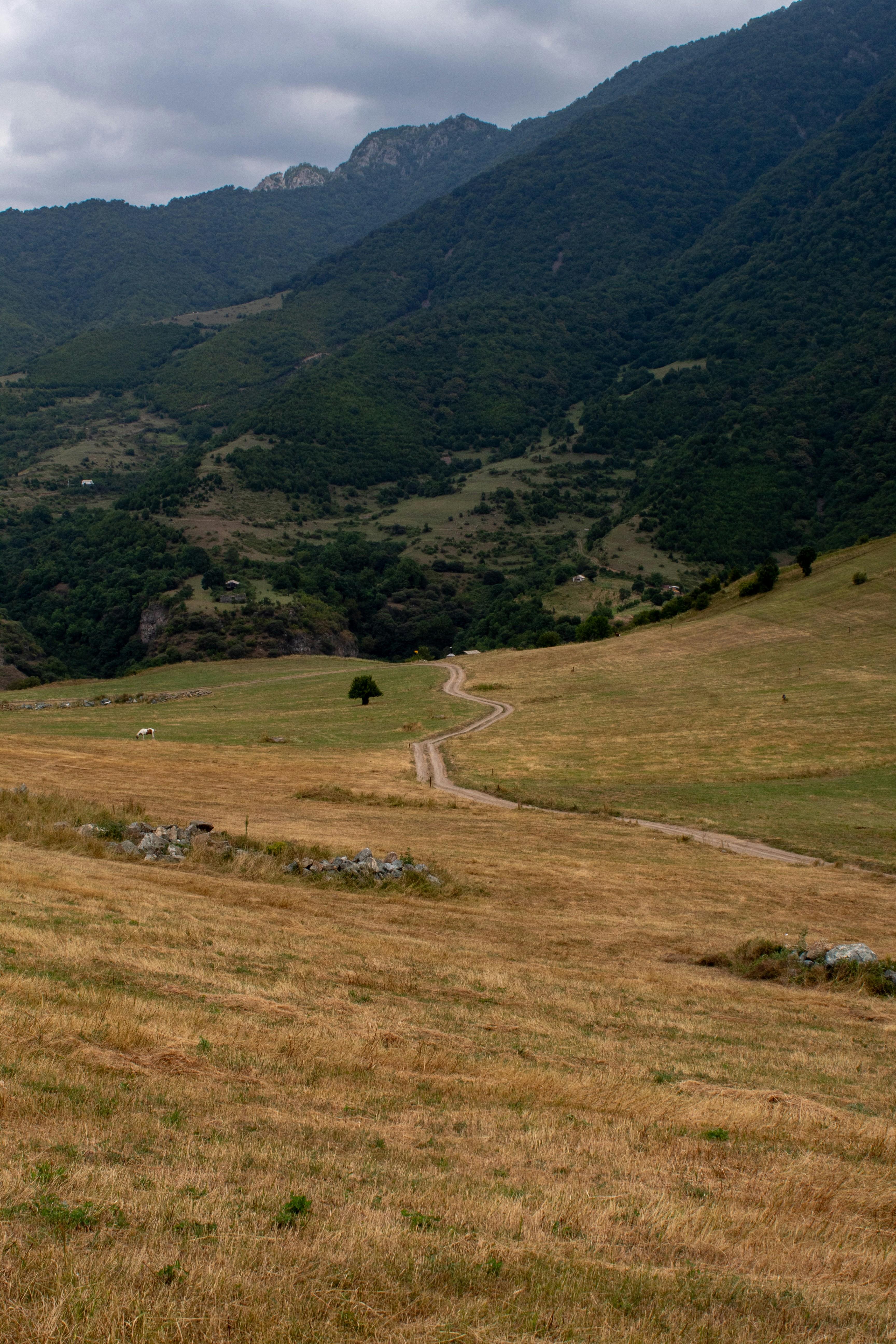 Winding dirt path leads through golden fields and lush valleys under a cloudy sky. The serene landscape invites exploration.