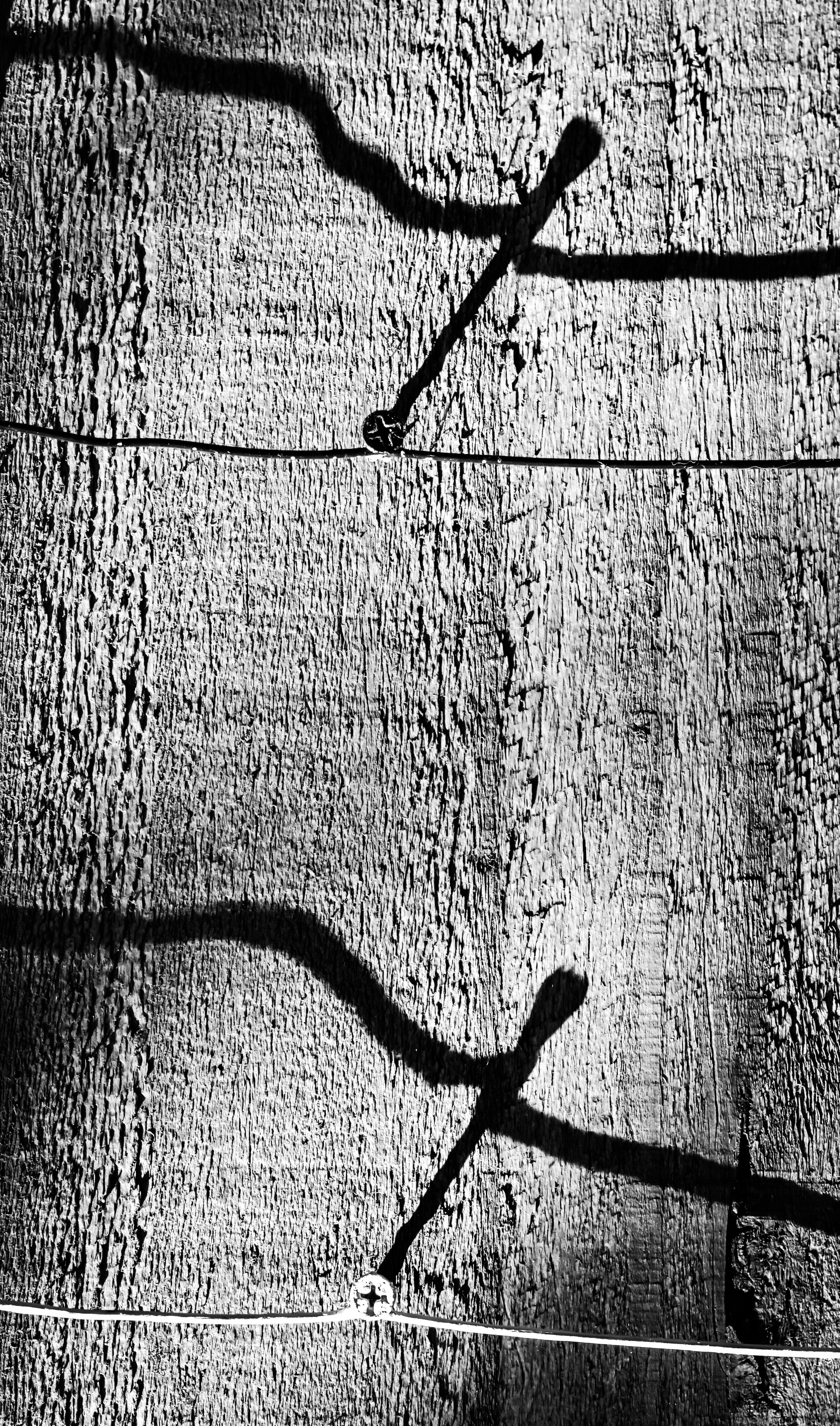 Two screws on two wires on a wooden fence and their shadows | Shadows cast by wires on a textured wooden surface.