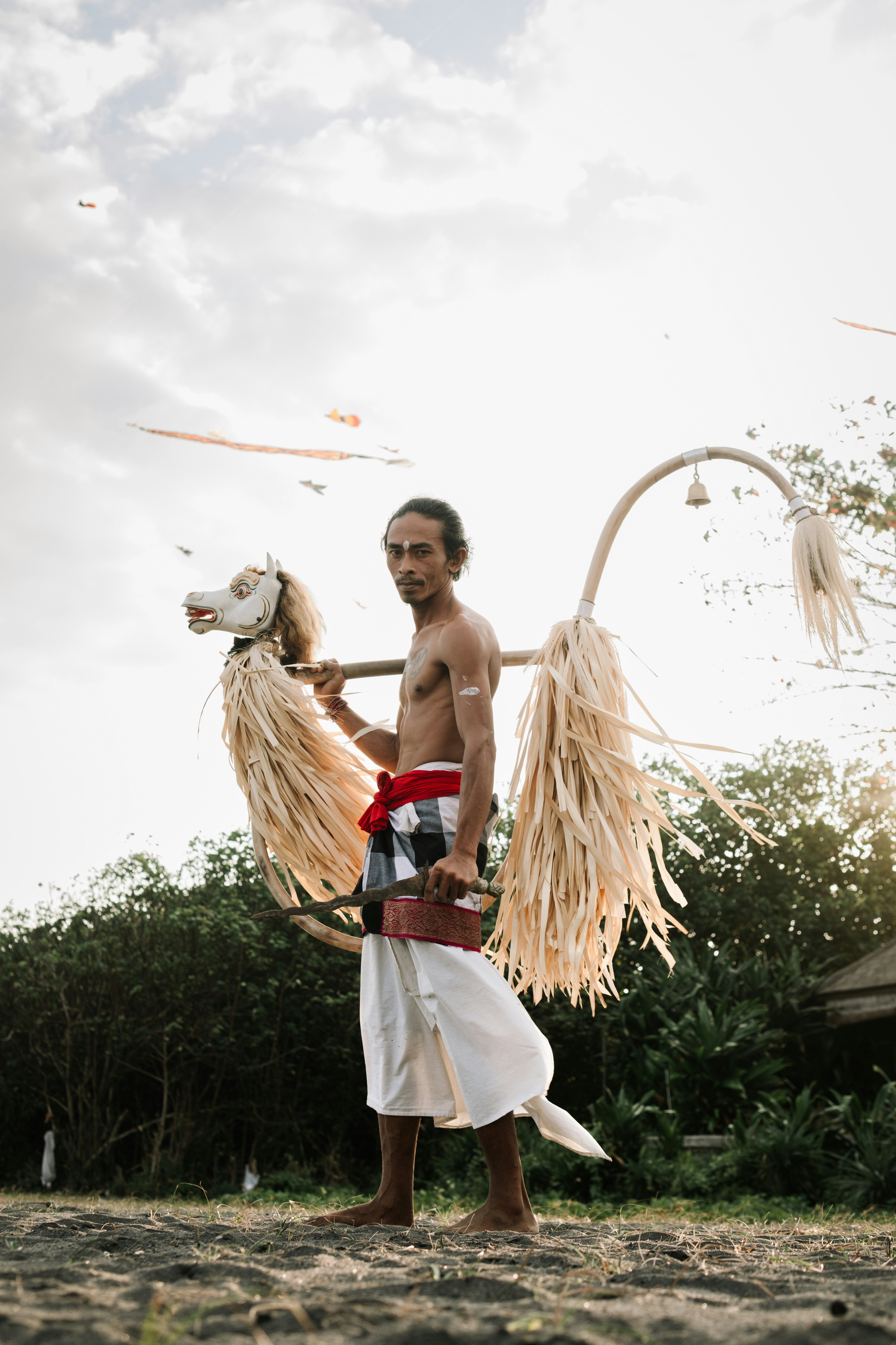 Straw-Winged Acolyte on the Sunlit Shore