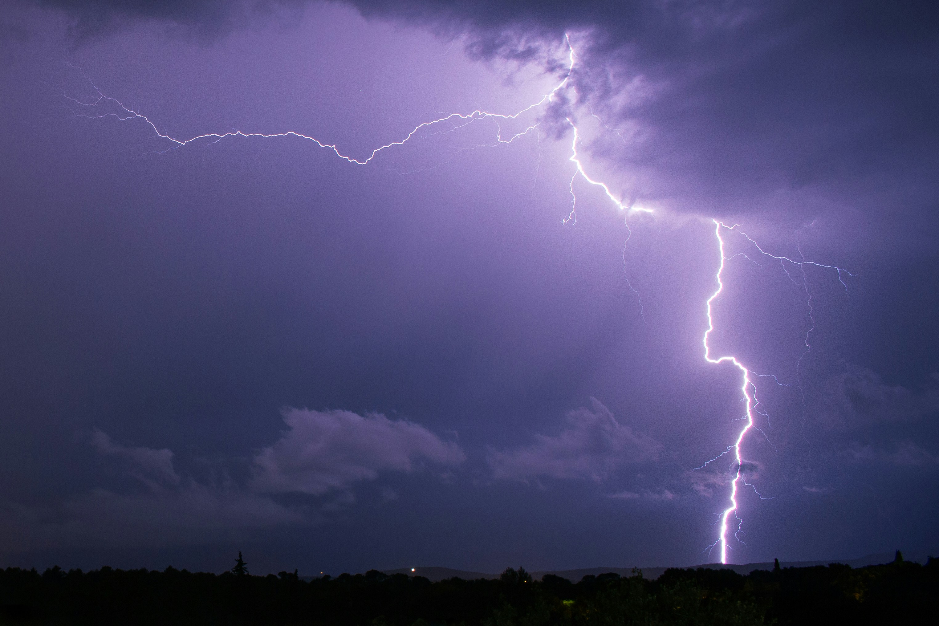 Electric Veins of the Storm