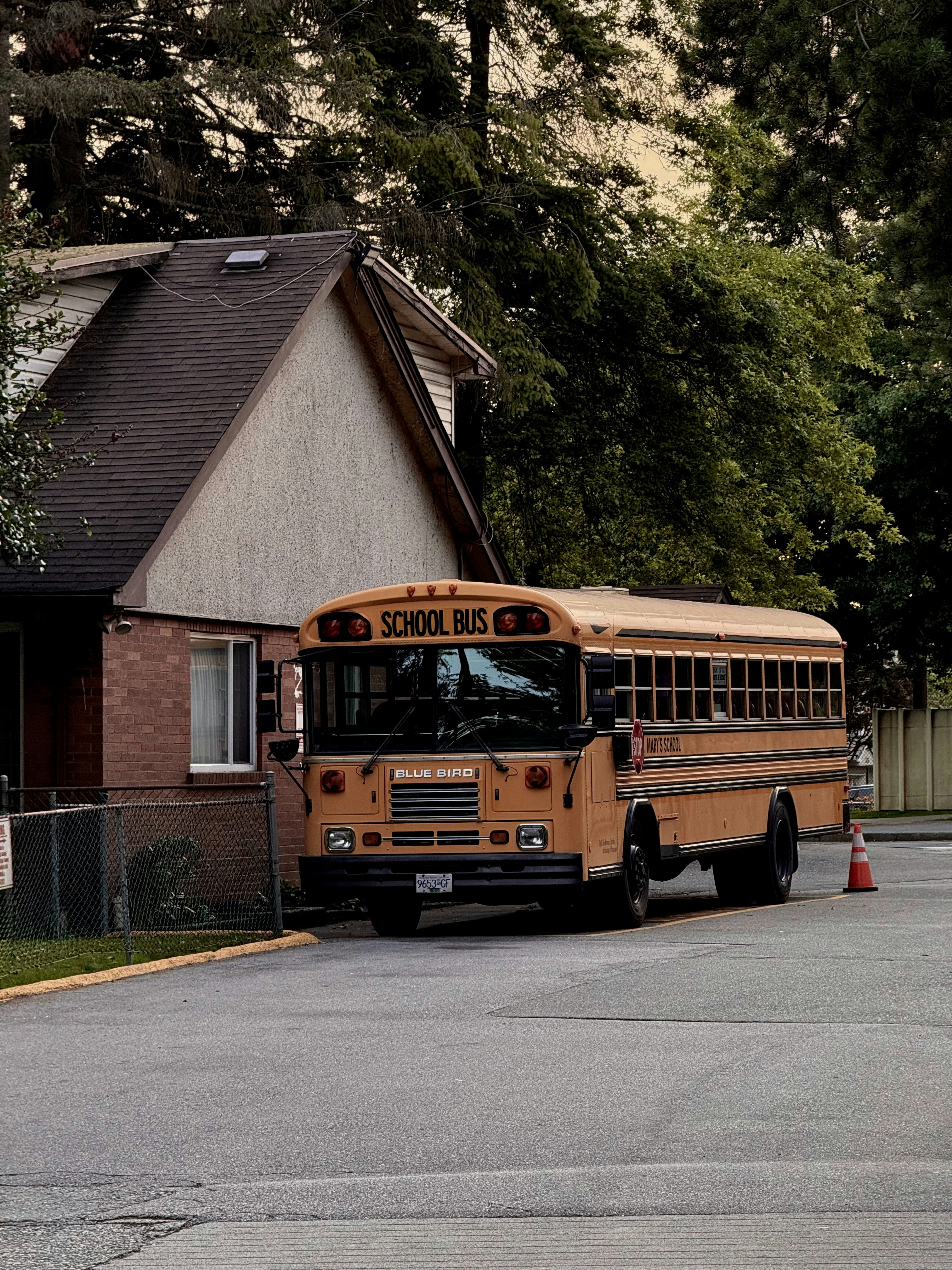 Standby at the Suburban Stop: The School Bus by Brick and Pines