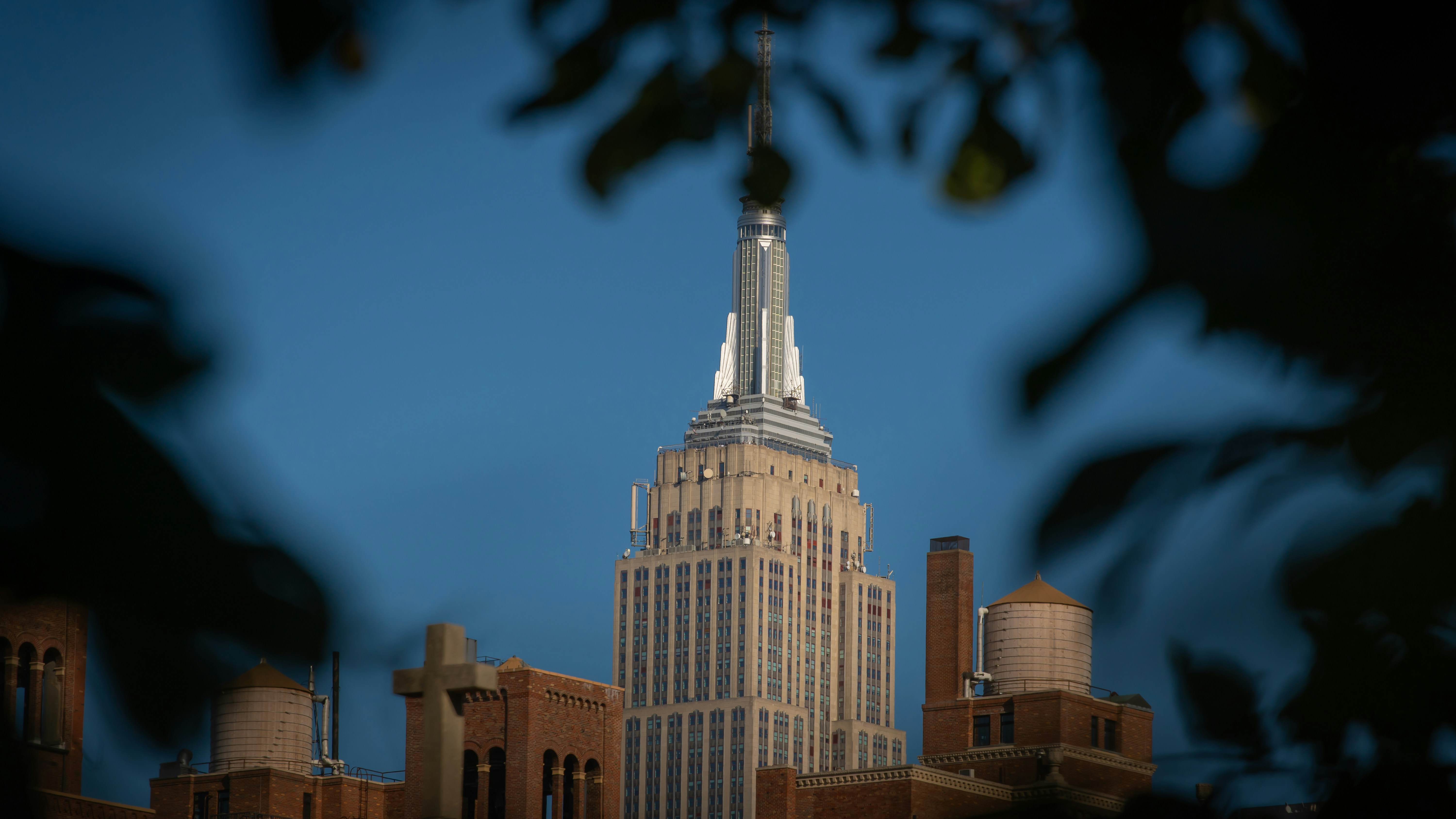 Urban Pinnacle: A Glimpse Through Nature's Frame