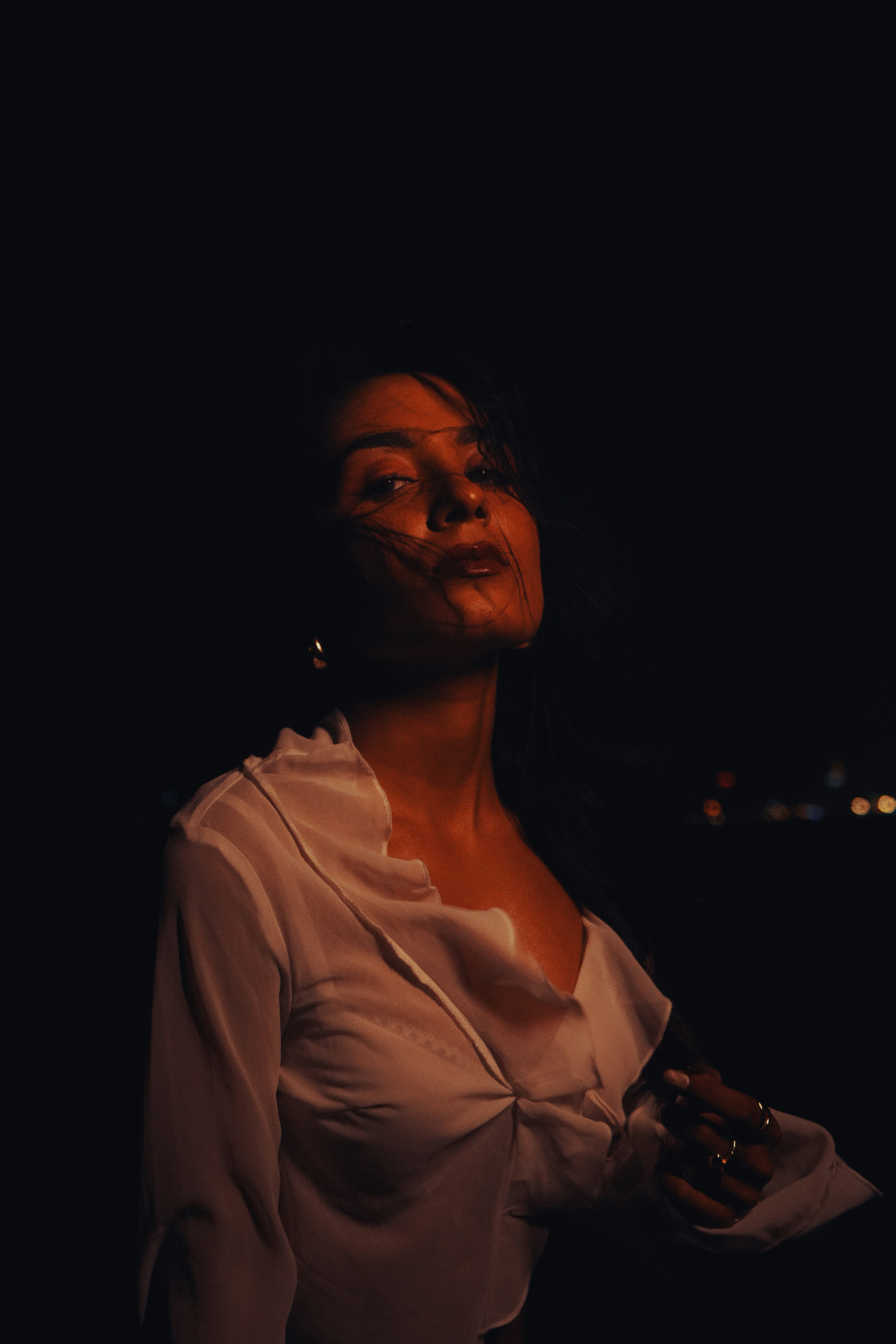 Whispers of the Night Breeze