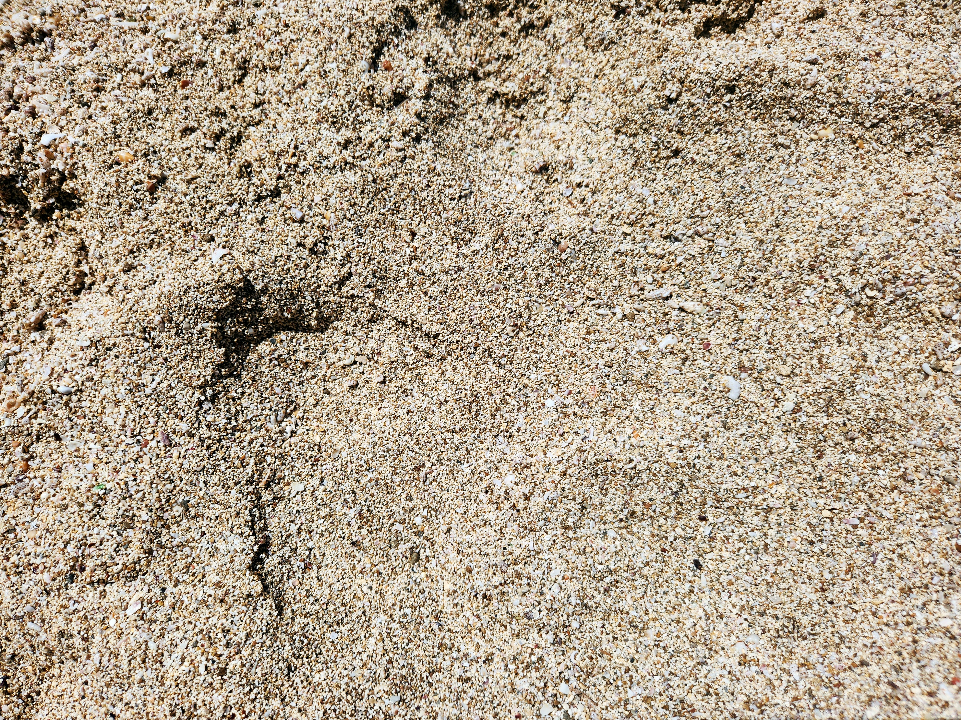 Closeup of Sandy Textured Surface Detailed Macro Shot | Close up of gritty sand with shadows