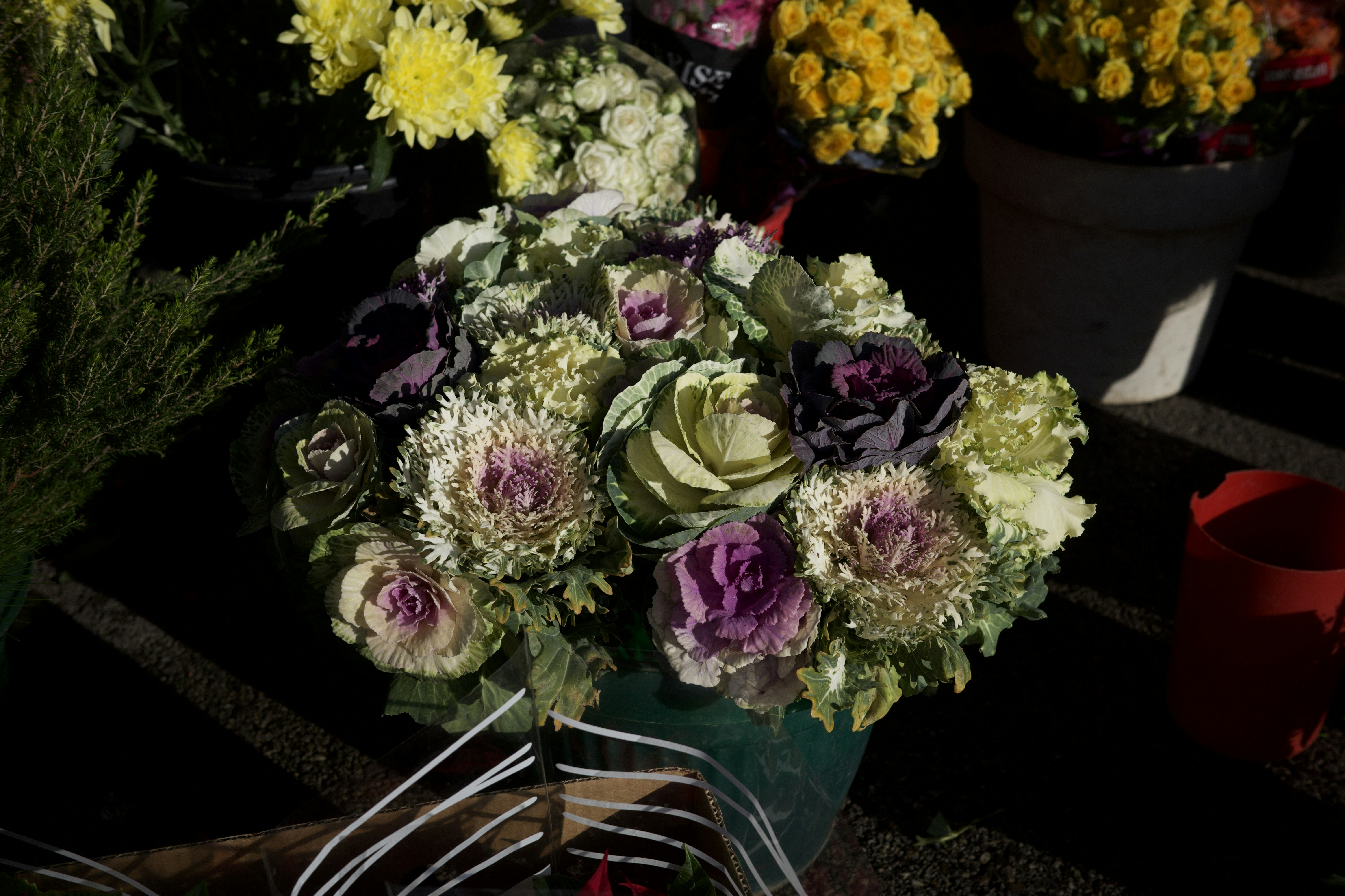 A bouquet of colorful ornamental kale and chrysanthemums.