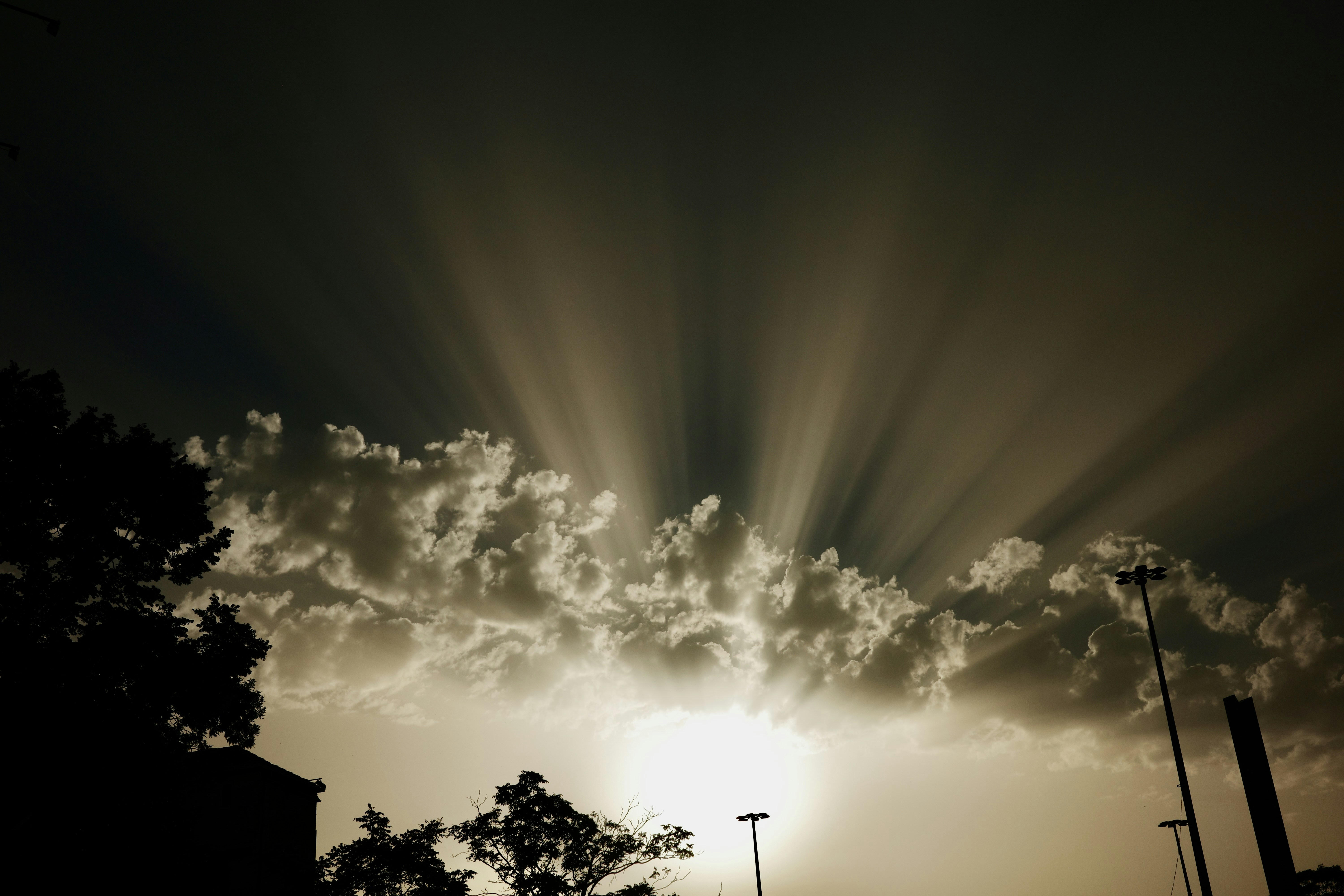Ethereal Rays of Dusk