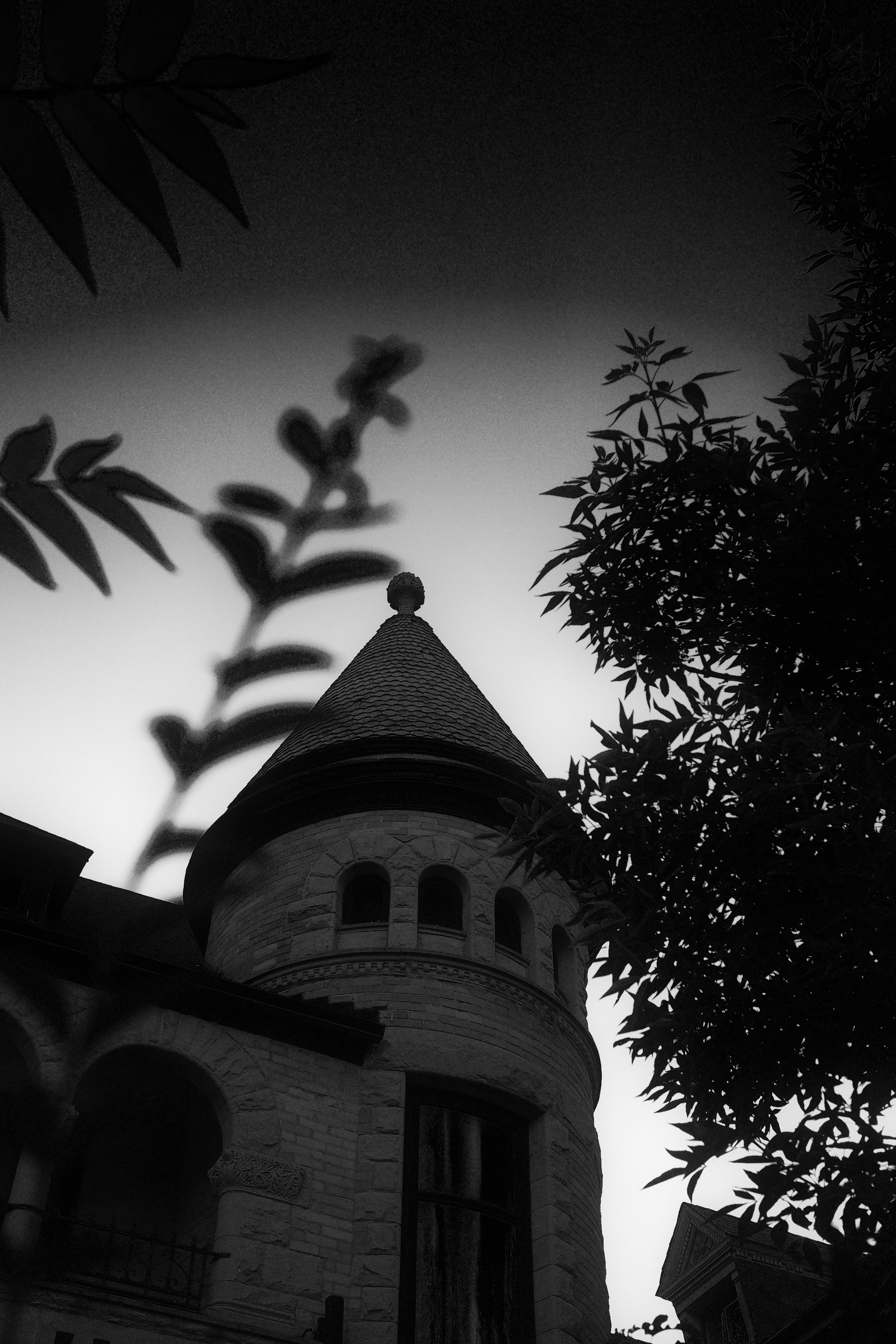 Whispers of Time: A Gothic Silhouette
