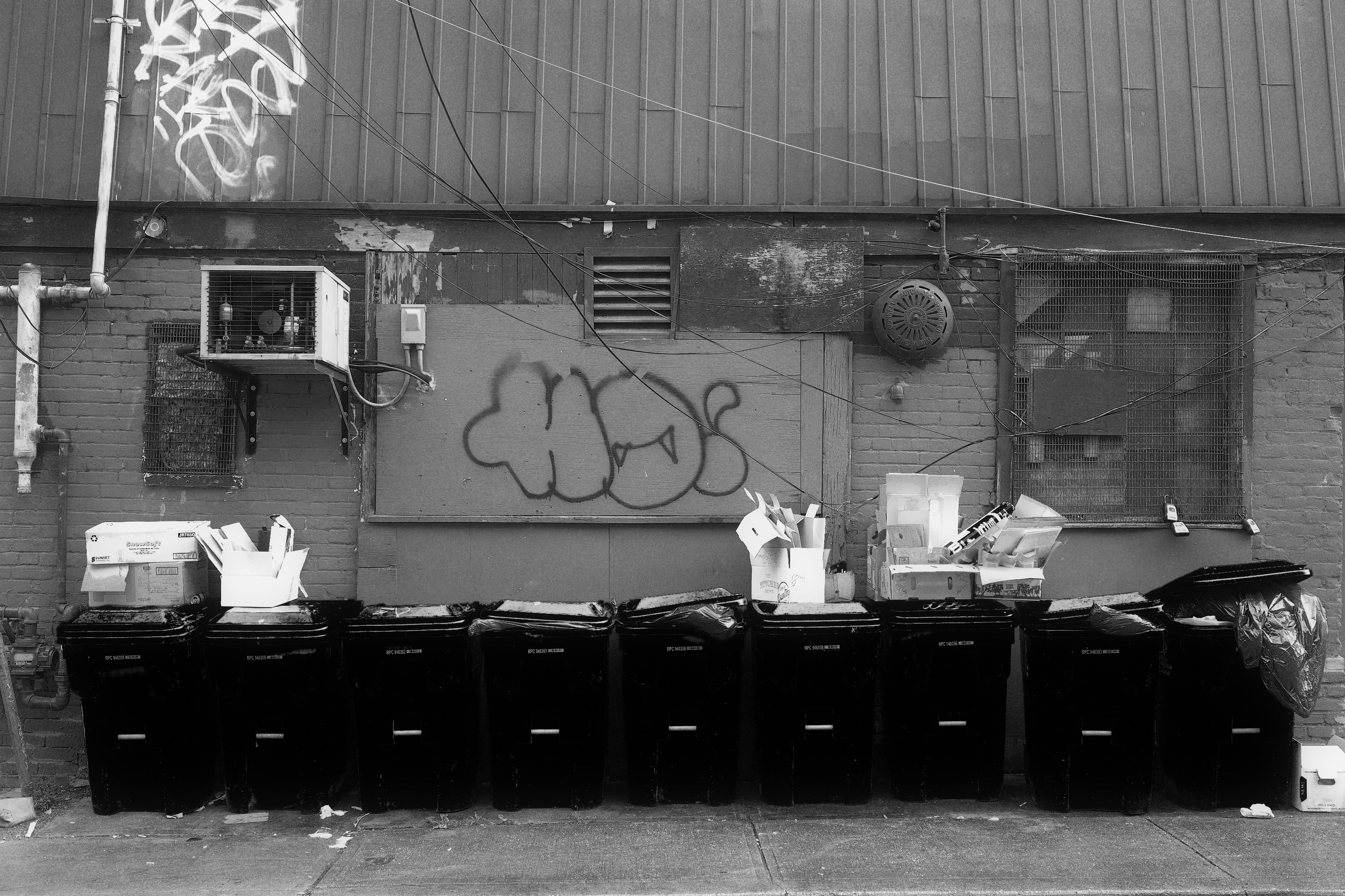 Urban Echoes: The Story Behind the Waste