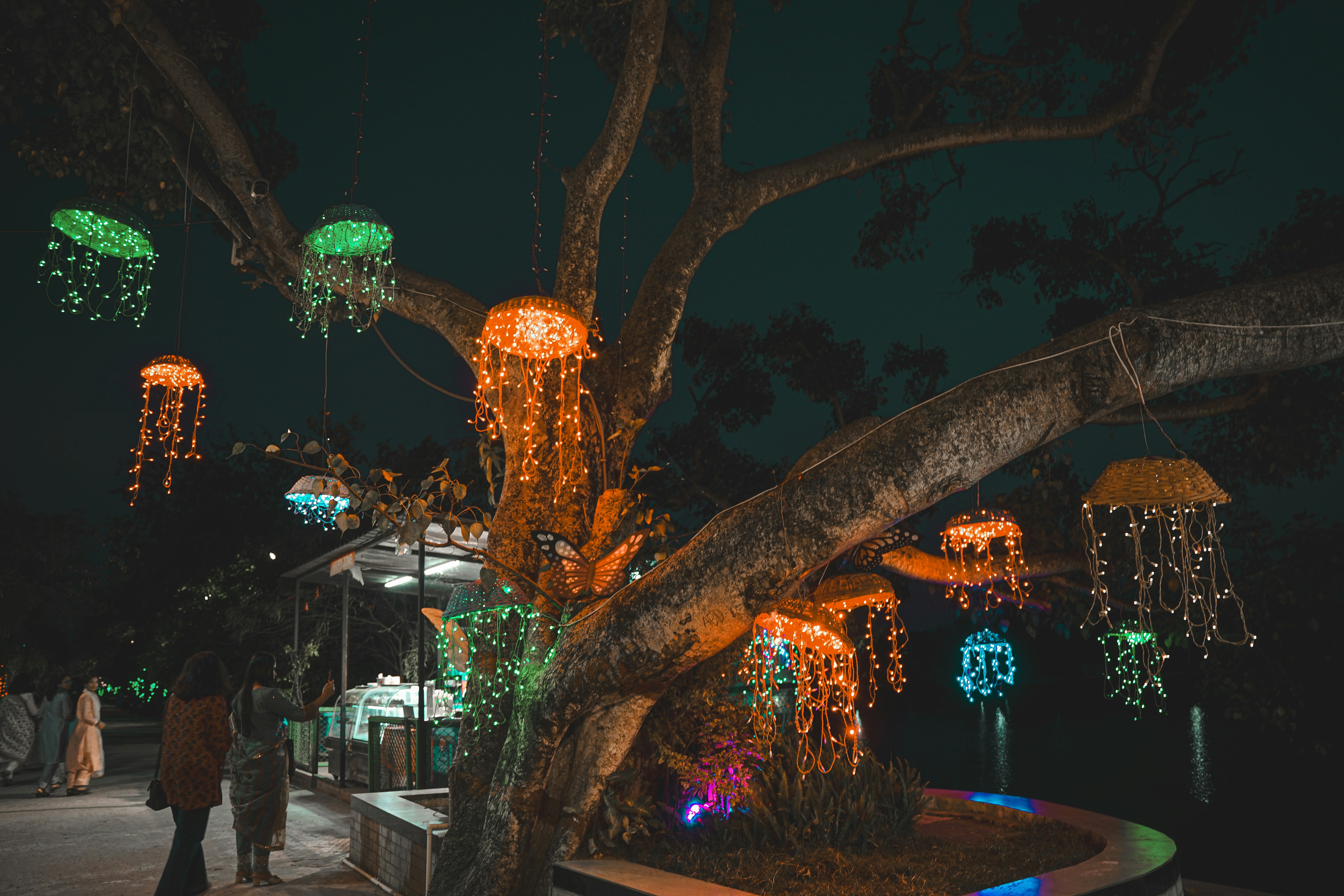 Colorful jellyfish lanterns hang from tree branches at night.
