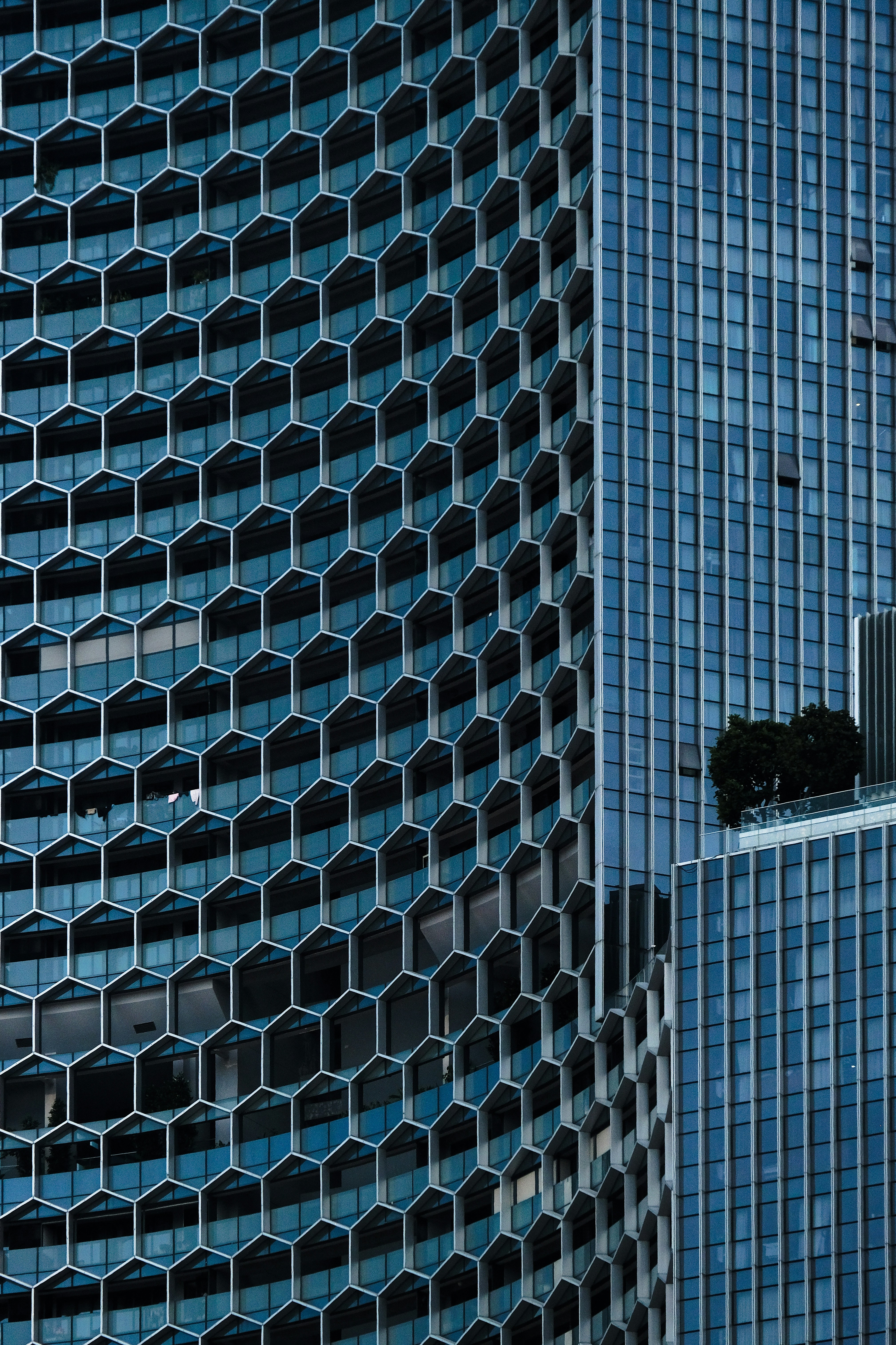 Close-up view of a modern skyscraper facade featuring a striking honeycomb-patterned exterior alongside a sleek glass tower. The repeating hexagonal shapes create a dynamic texture, reflecting light in varying shades of blue. A small rooftop garden with lush trees contrasts against the geometric precision of the building design. | Modern buildings with geometric facade patterns