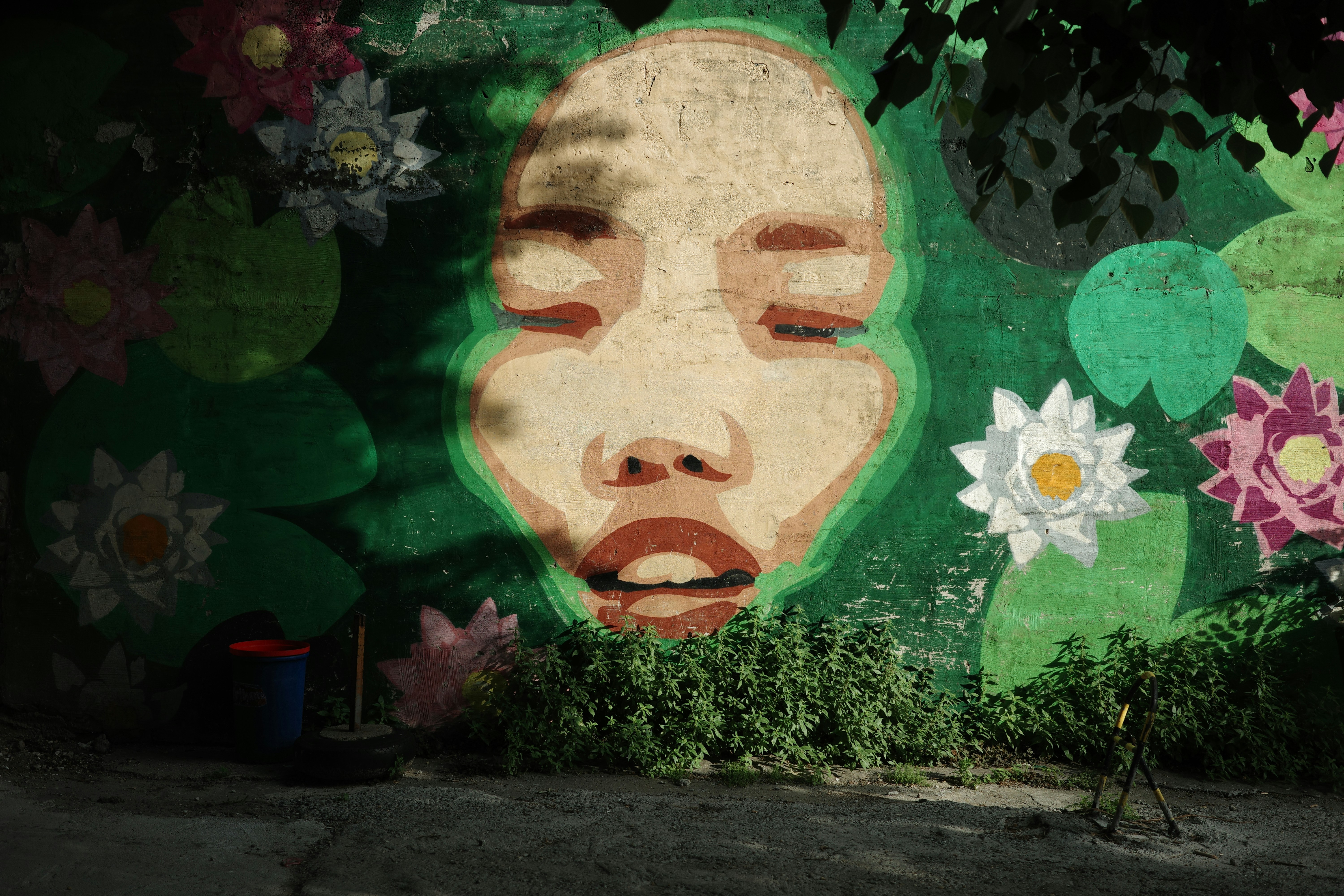 Whispers of Nature: A Mural's Embrace