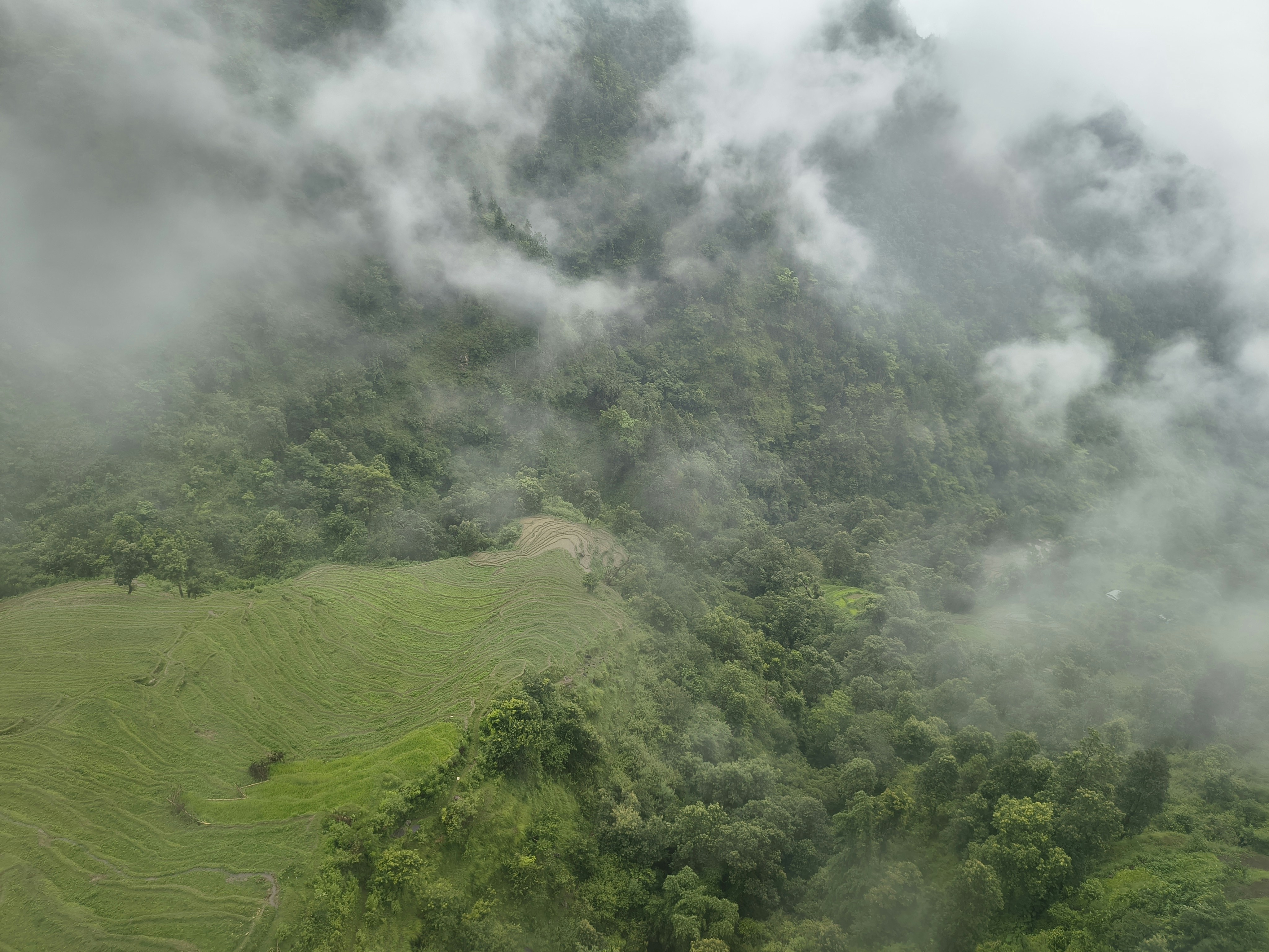 Sample photo from Motorola Edge 60 Fusion