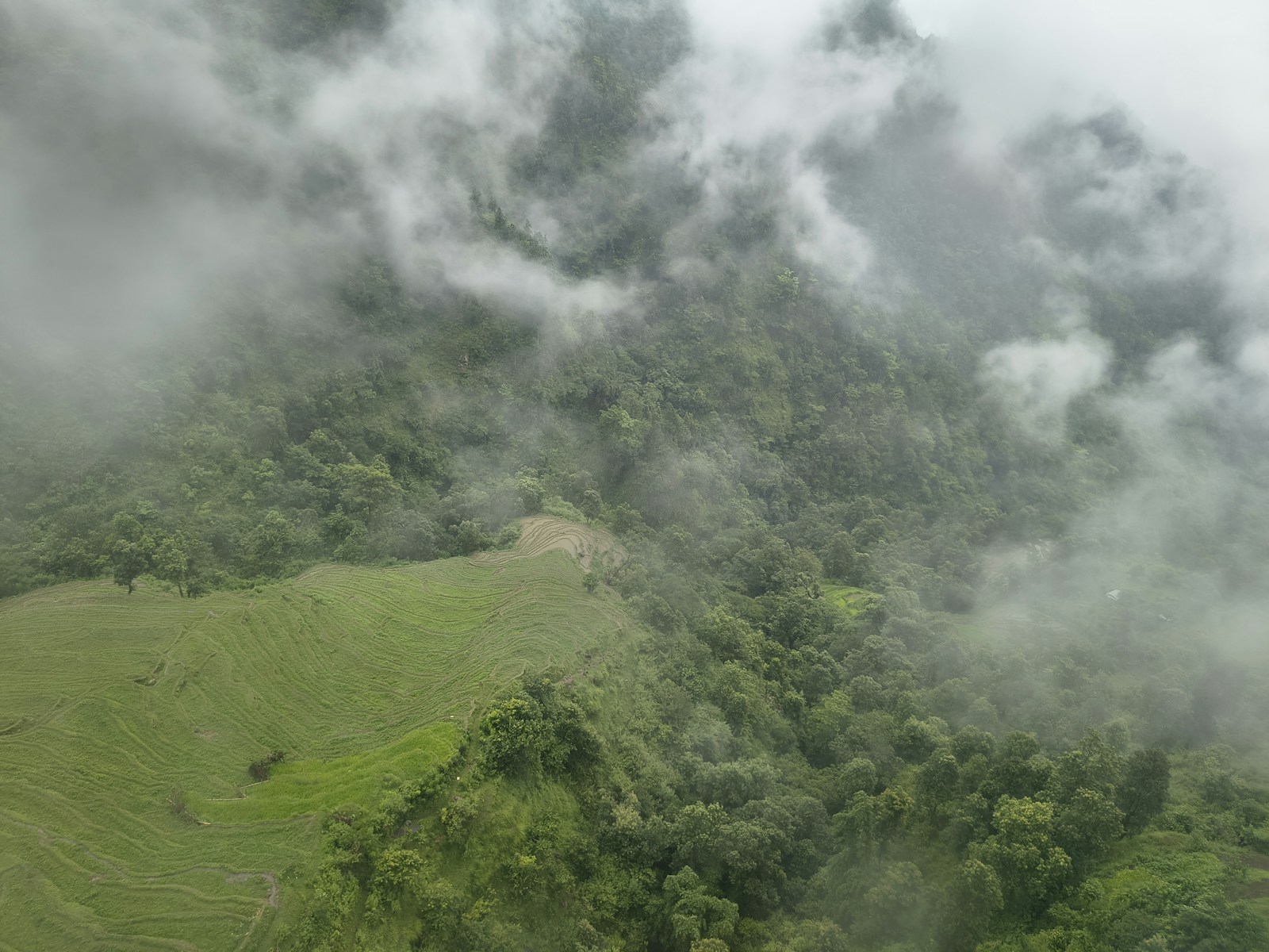 Motorola Edge 60 Fusion