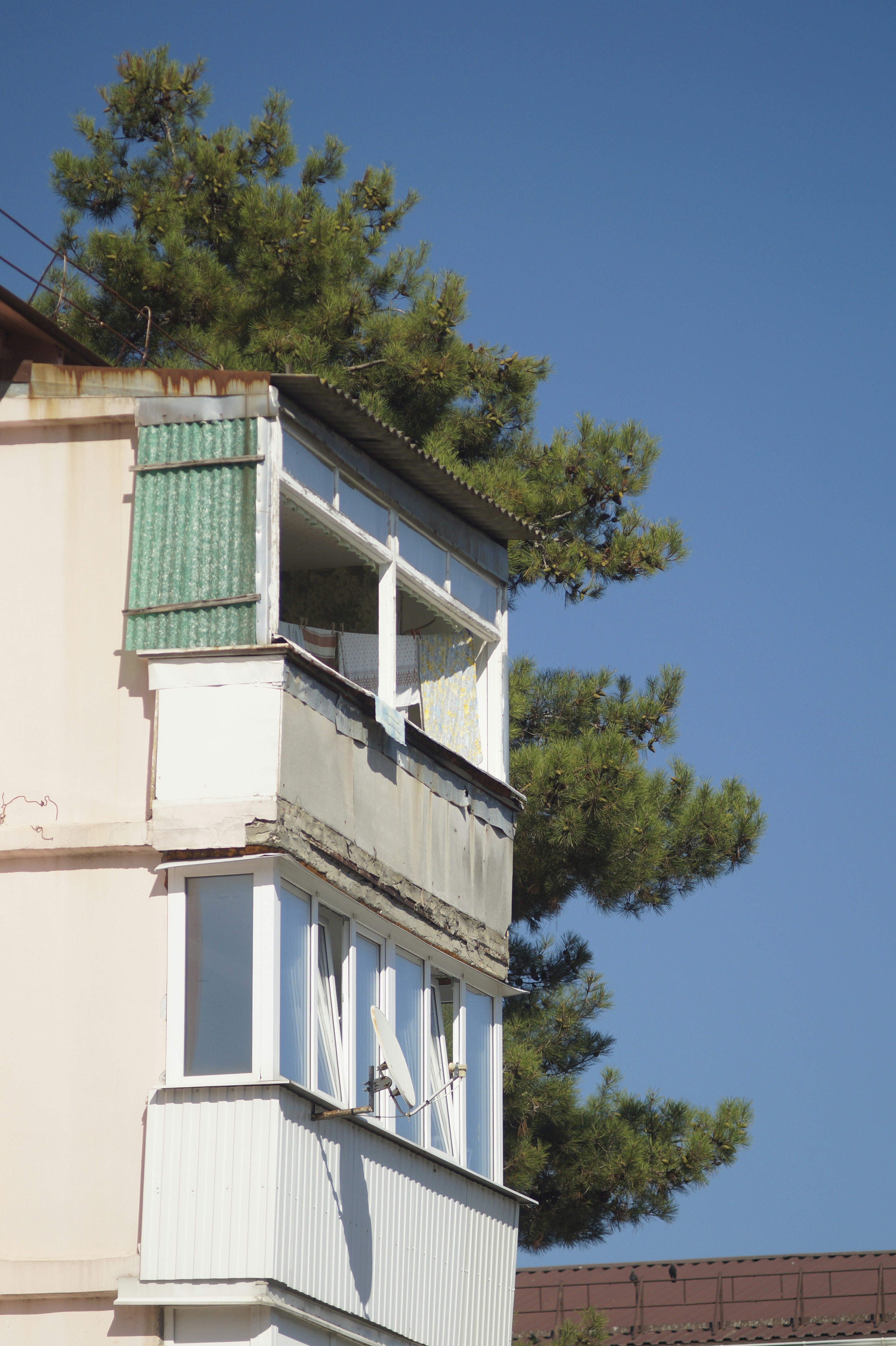 Photo taken on the USSR lens Jupiter-37A. | Building balcony with pine tree and blue sky