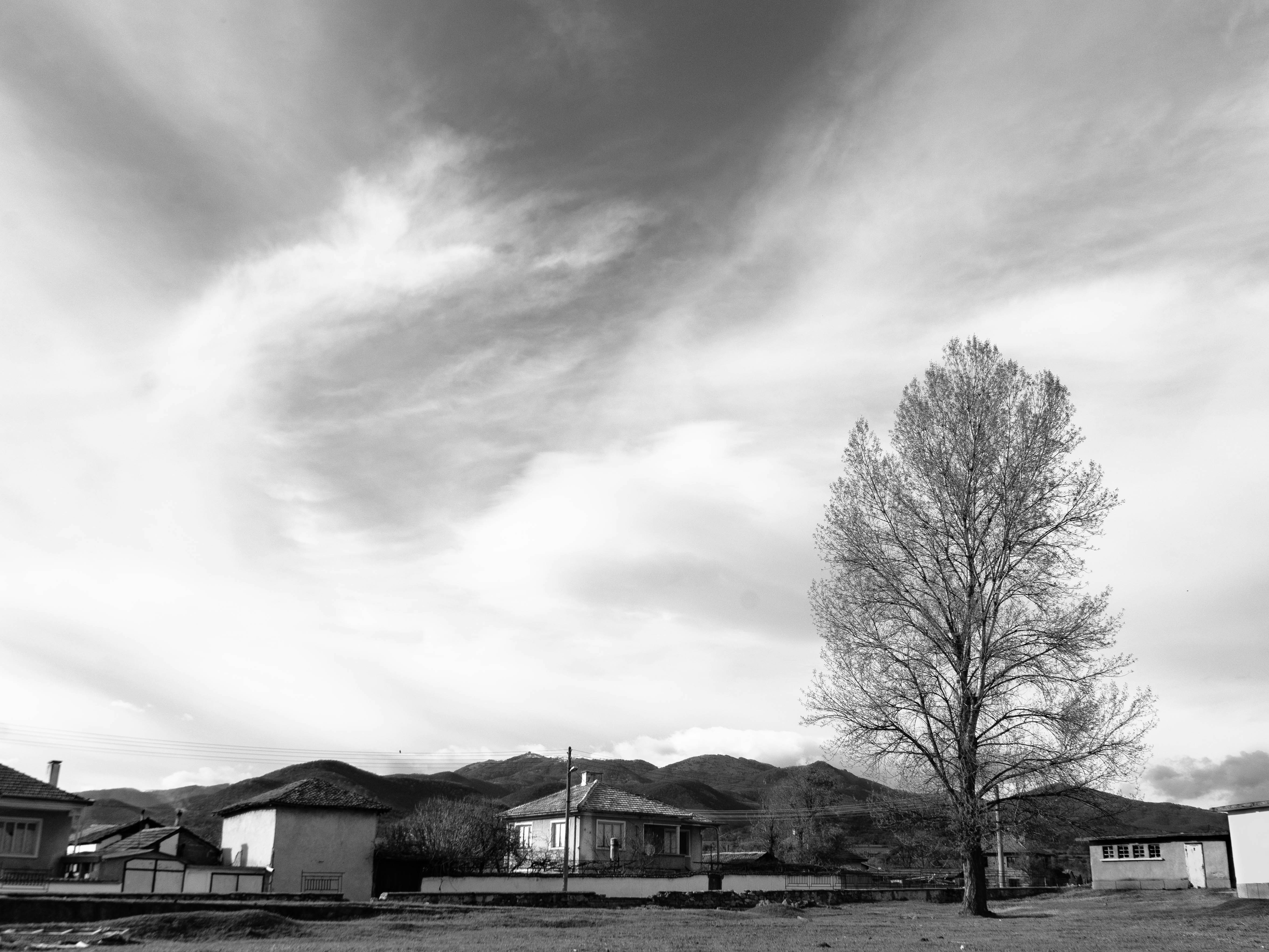 Whispers of Solitude in Monochrome