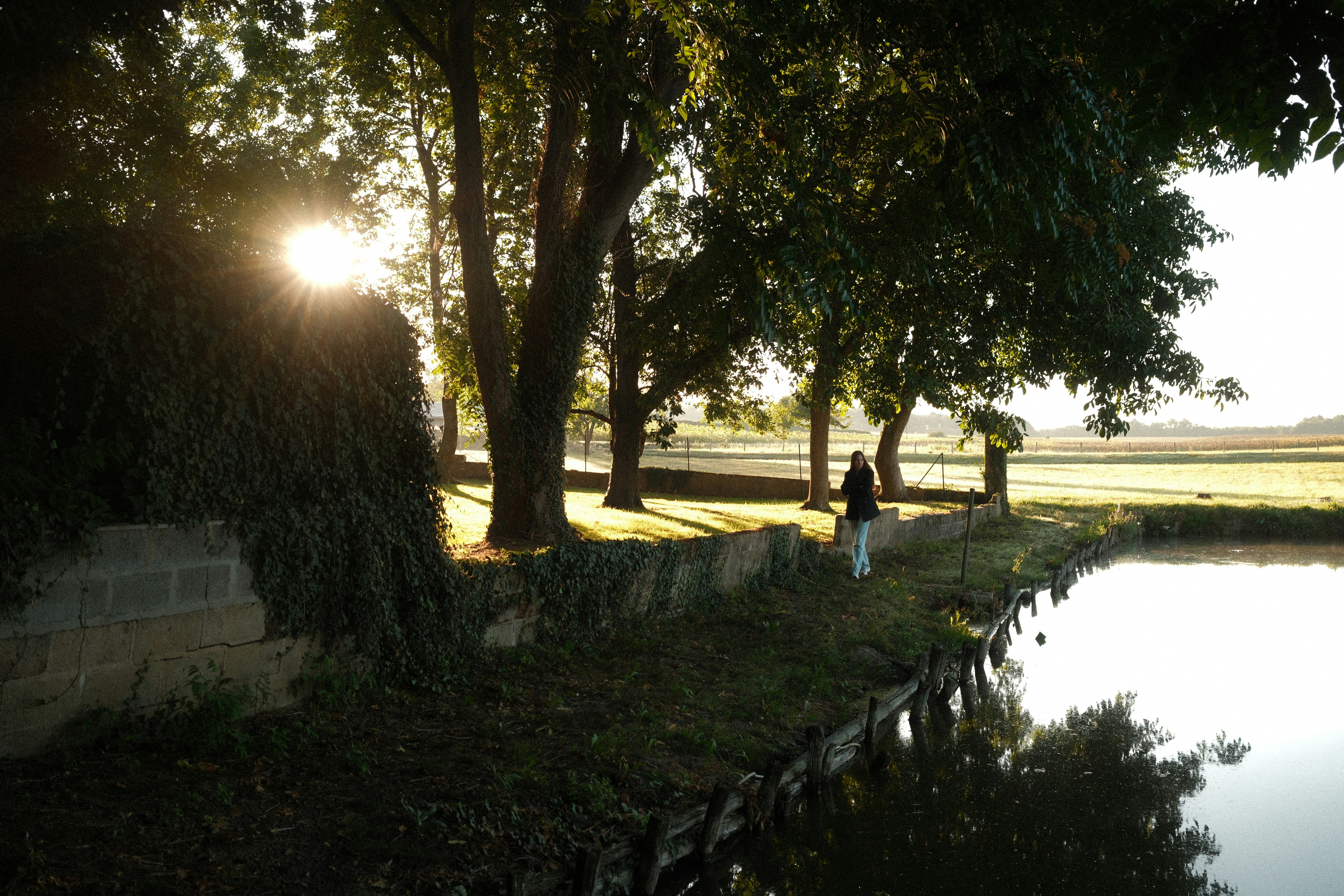 Whispers of a Tranquil Evening