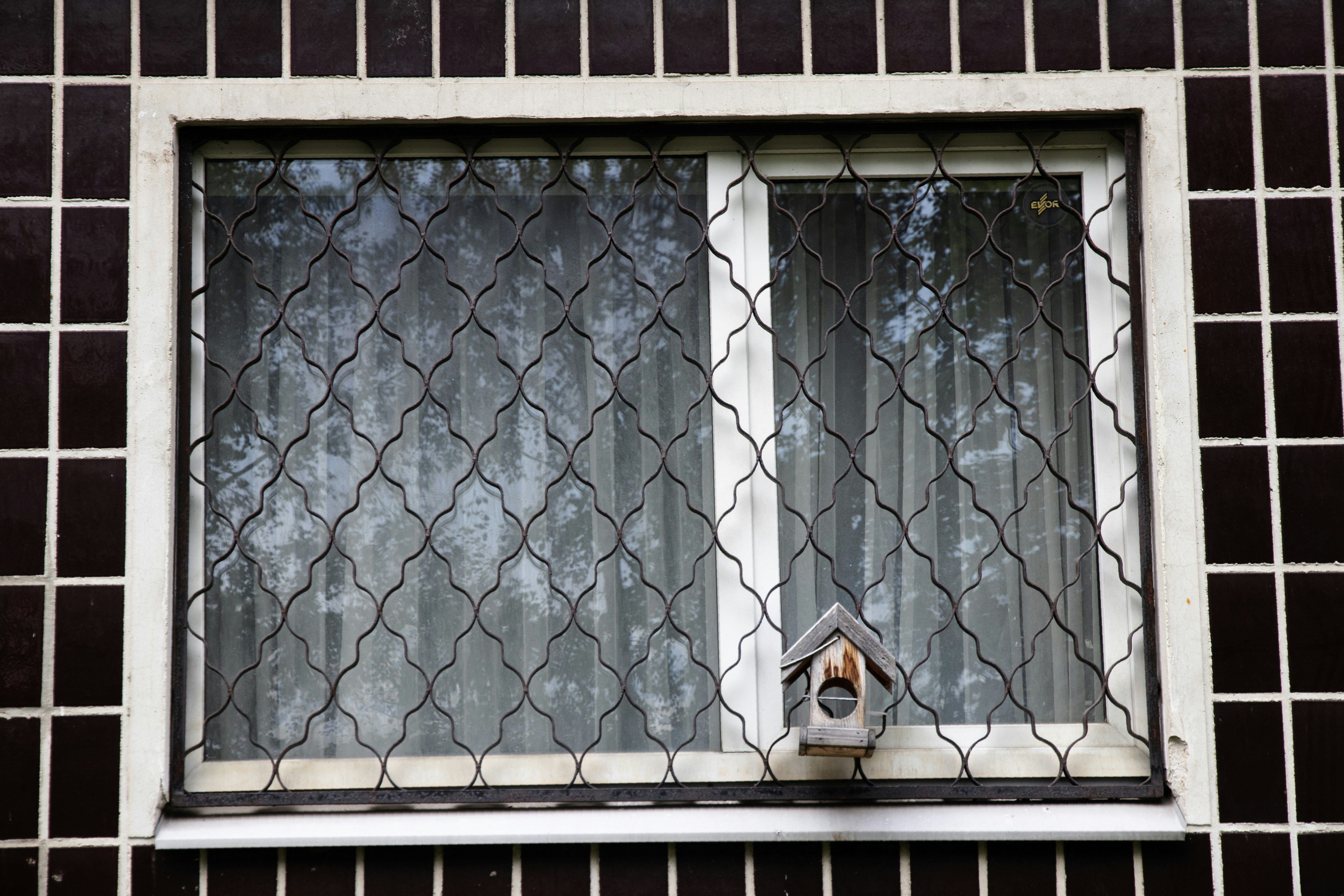 Photo by Reinis Bruzitis with Canon EOS 80D