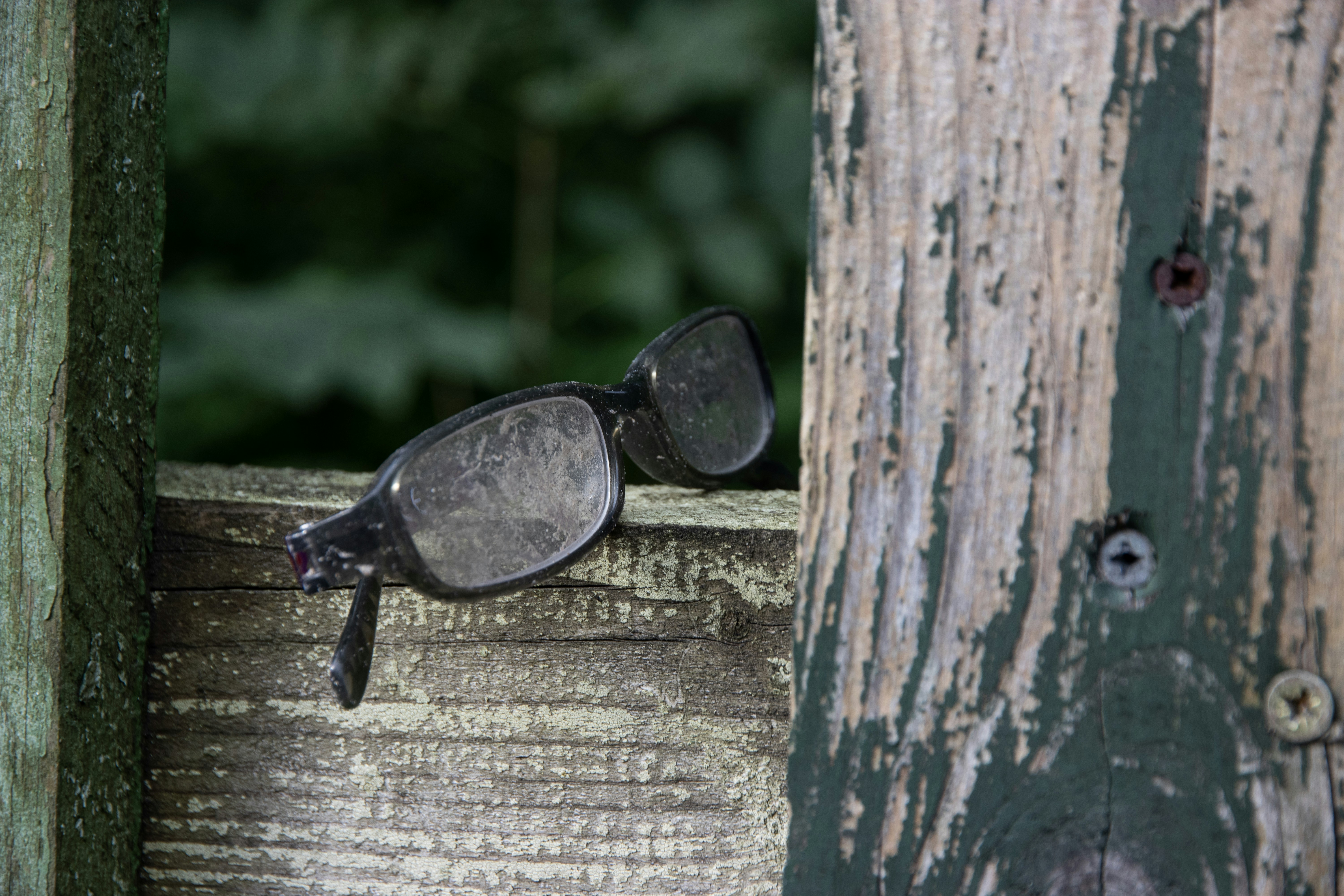 Forgotten Focus: A Glimpse into Abandonment