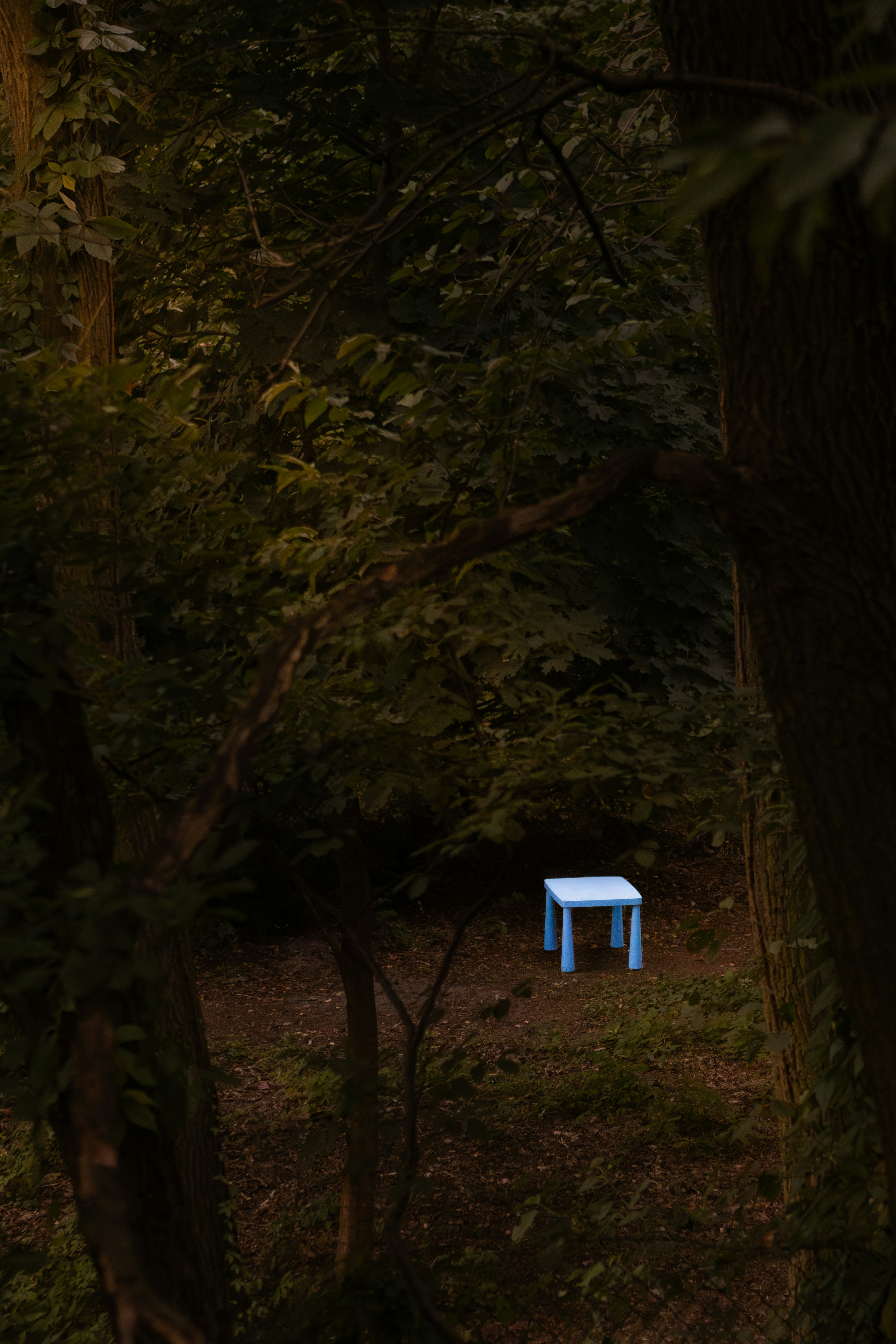 A light blue table sits in a dark forest clearing.