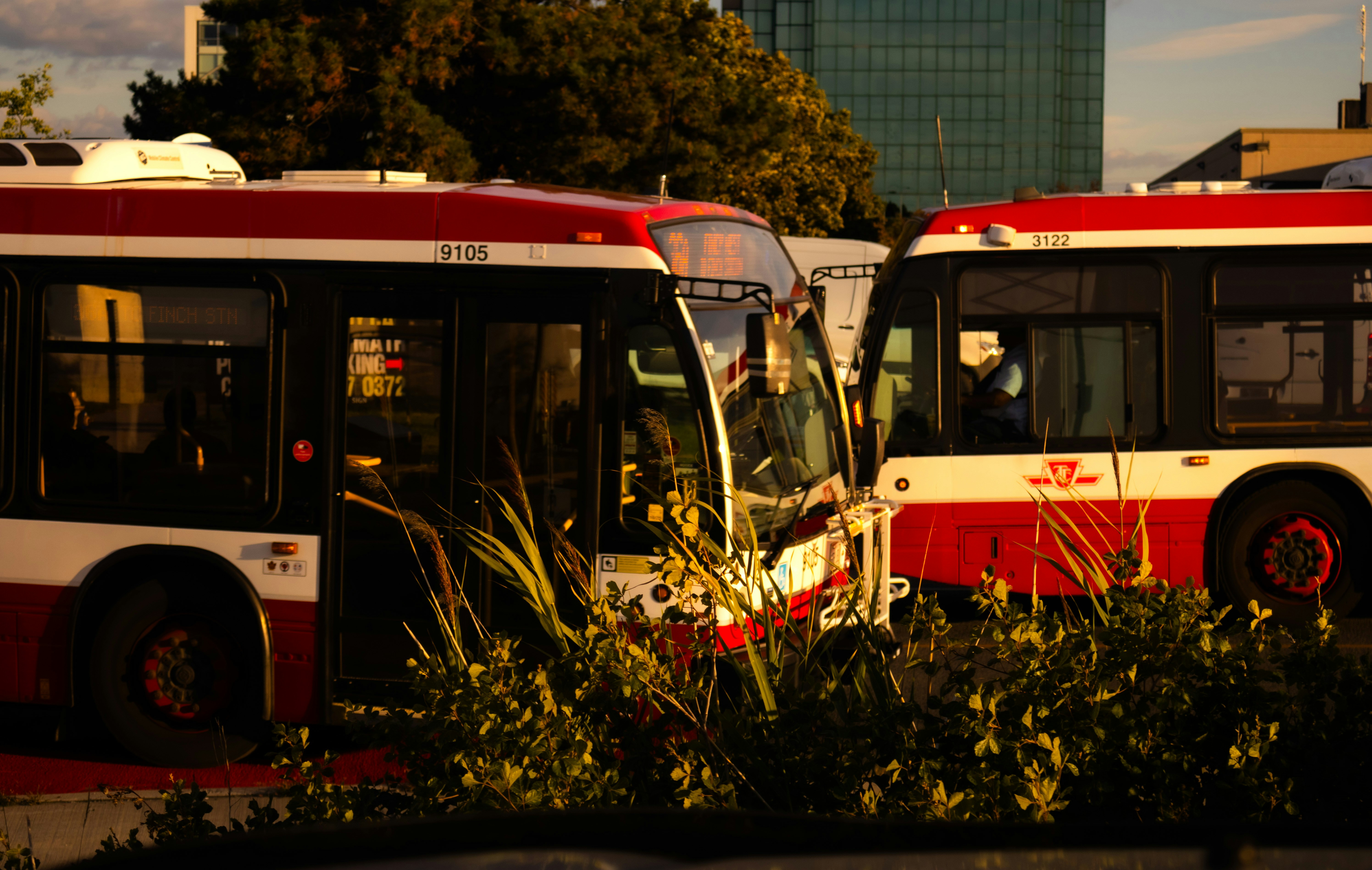 Urban Transit Harmony: A Dance of Buses