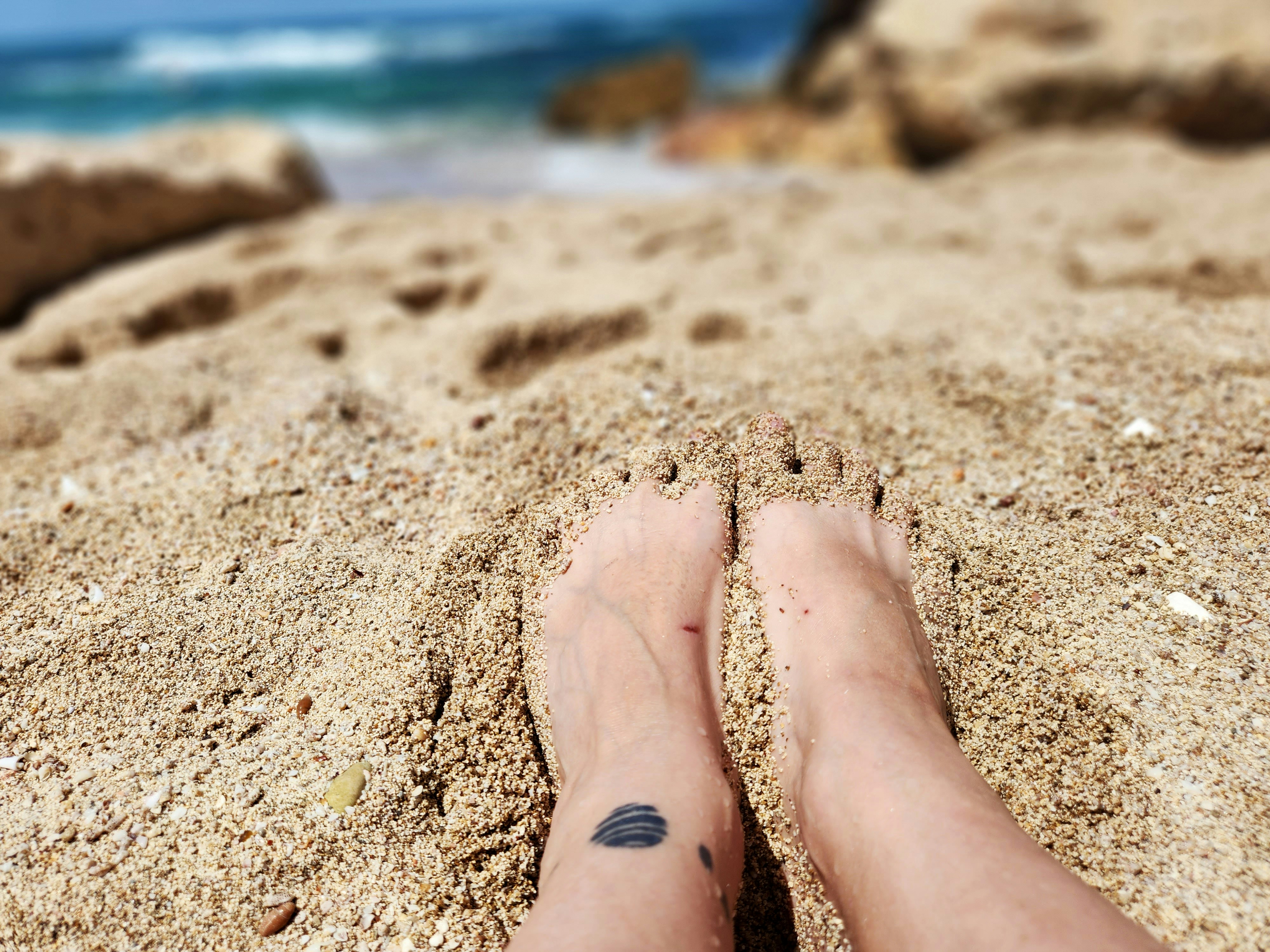 Whispers of the Shoreline