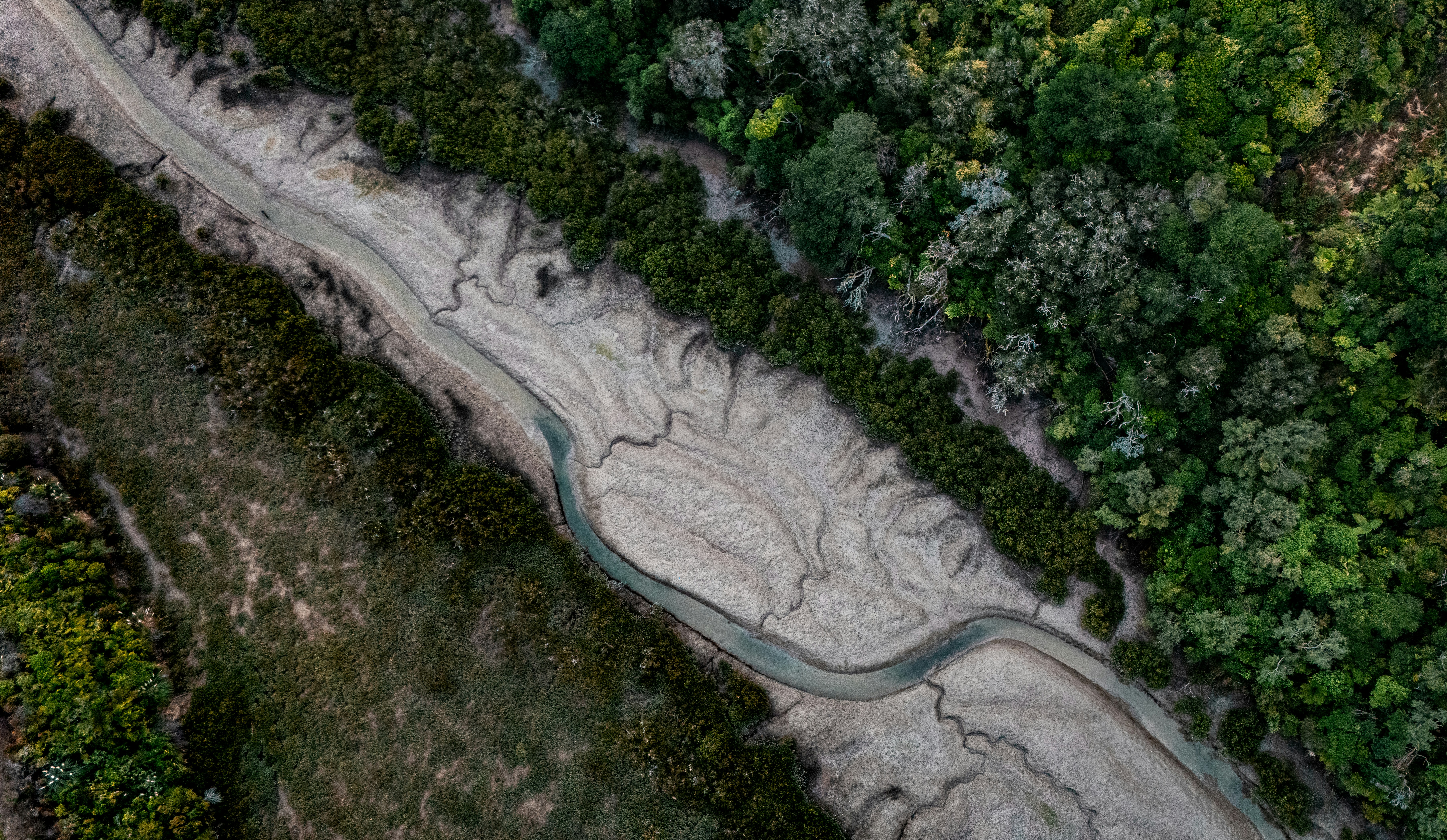 Aerial view of a winding waterway cutting through textured land, surrounded by lush greenery and dry patches.