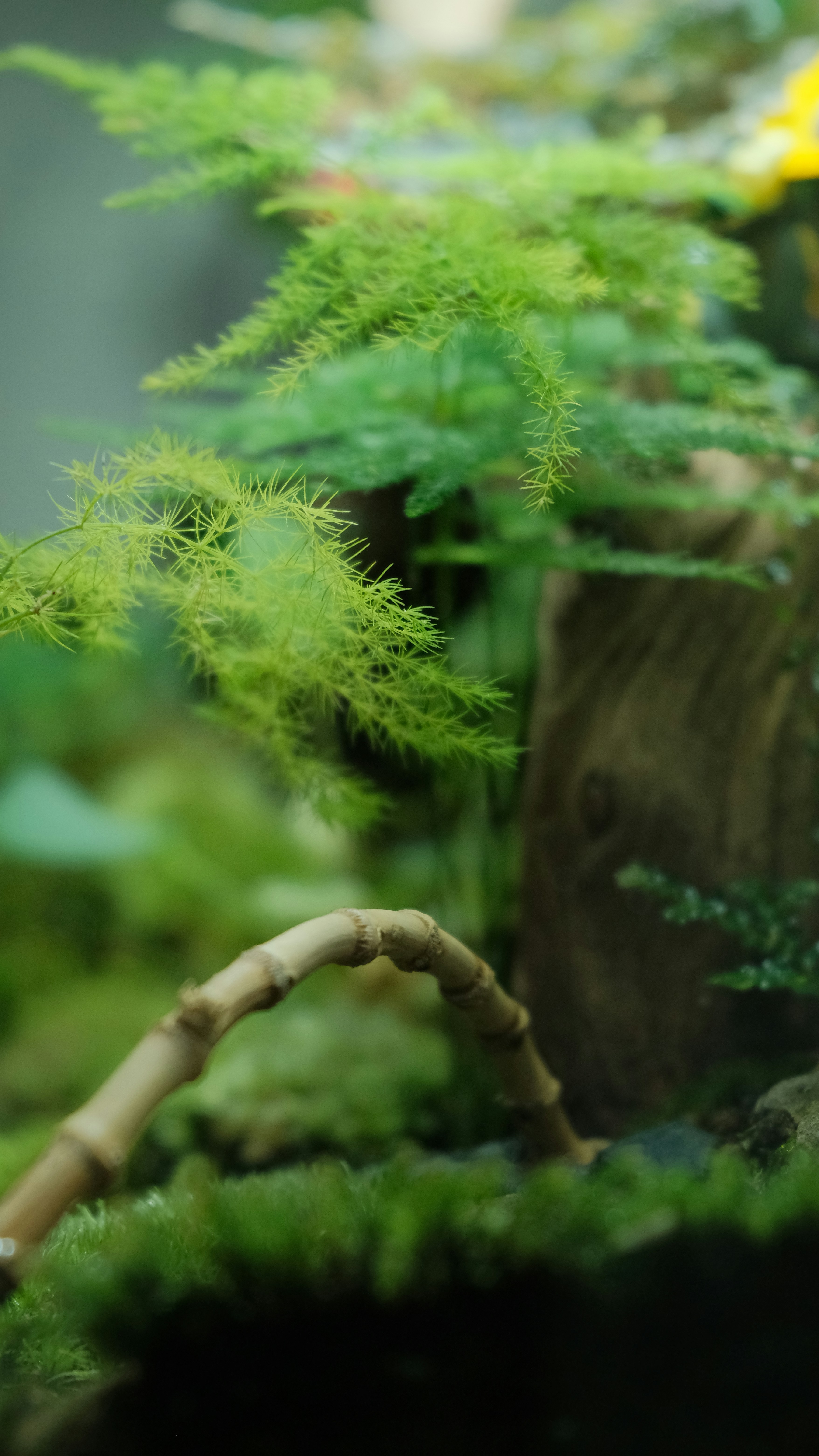 Photo by Life.Time.Values with Fujifilm X-S20