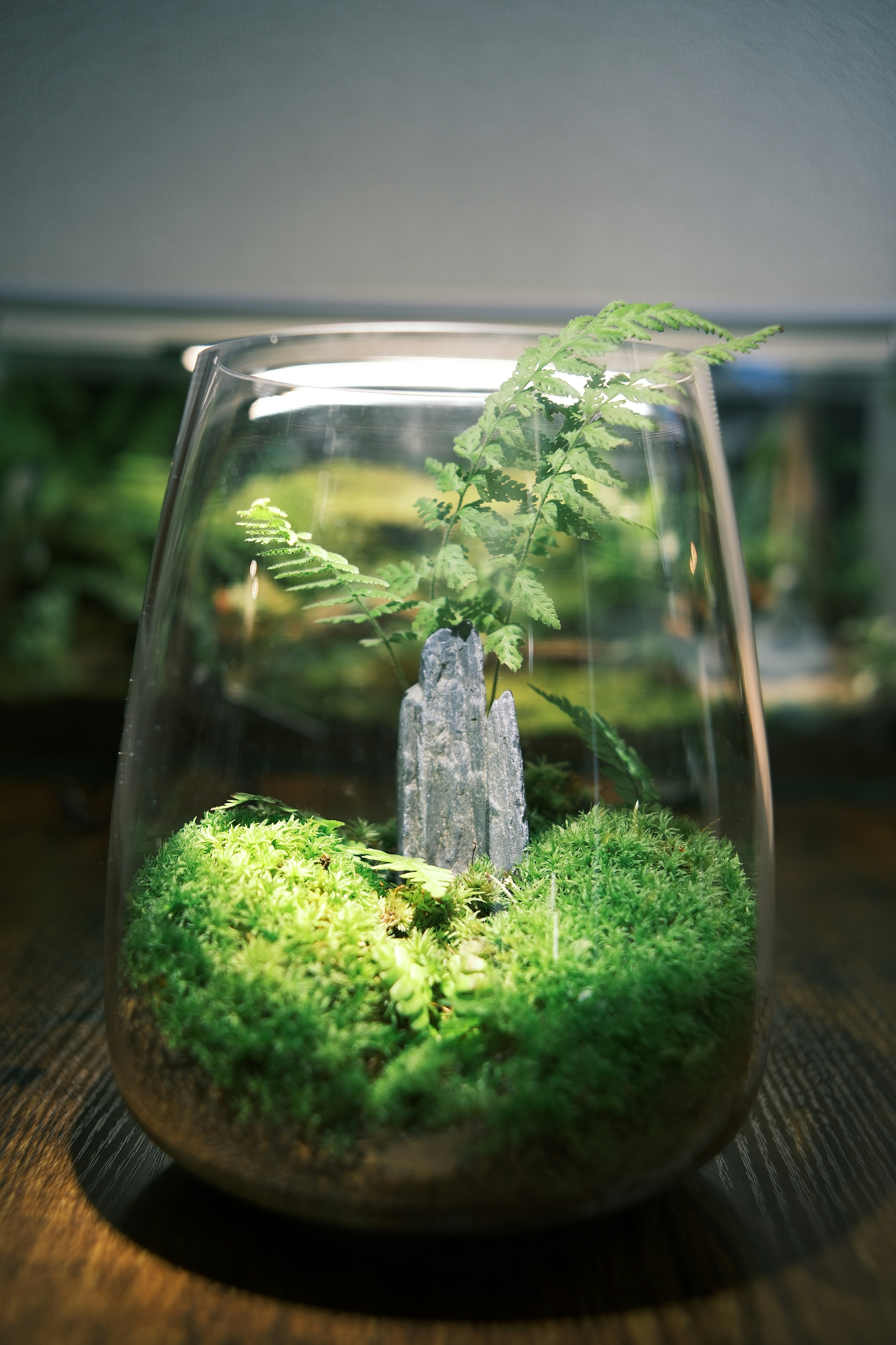 Glass Terrarium: A Mossy Microcosm Embracing a Slate Obelisk