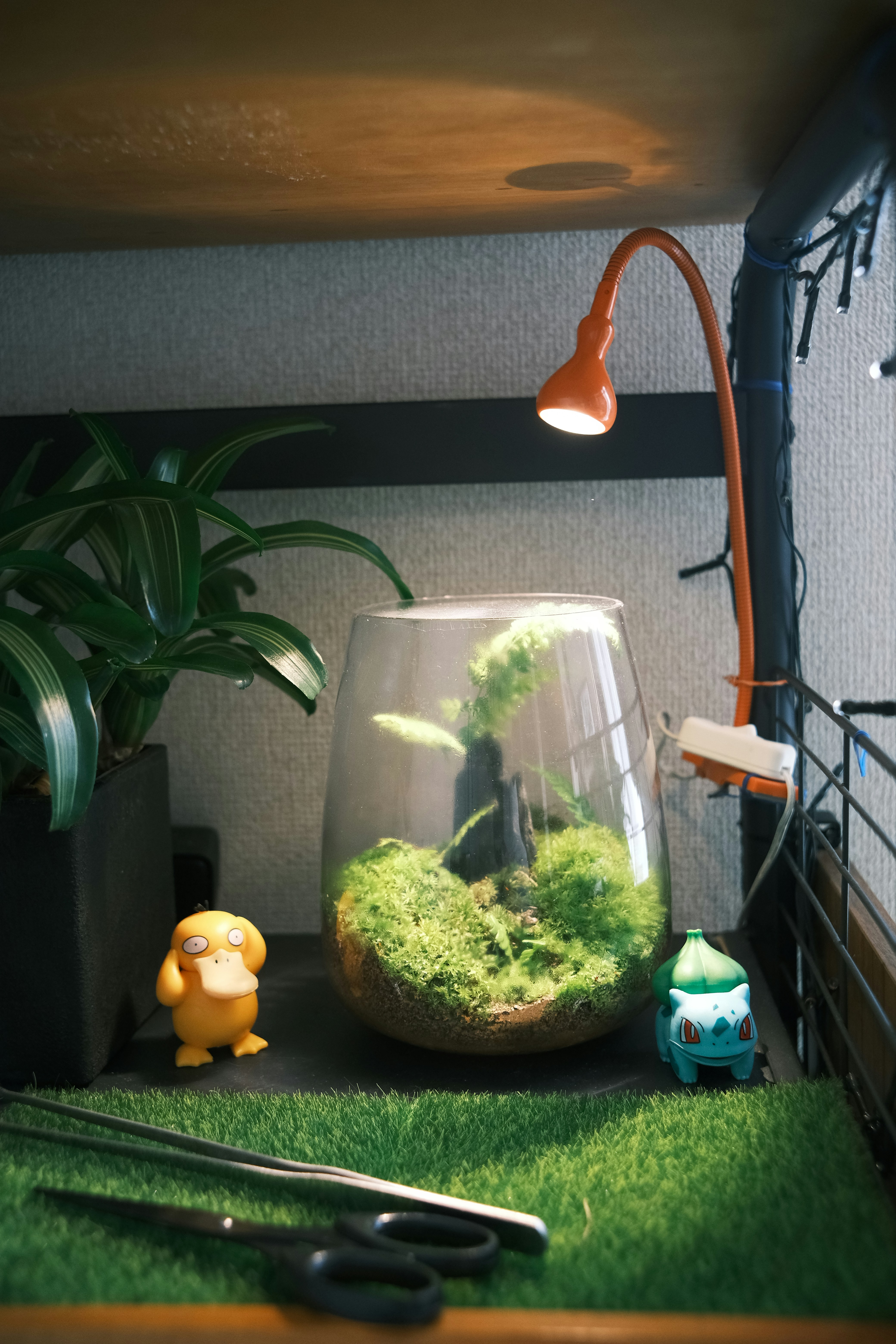 A Serene Miniature Ecosystem Under Warm Glow