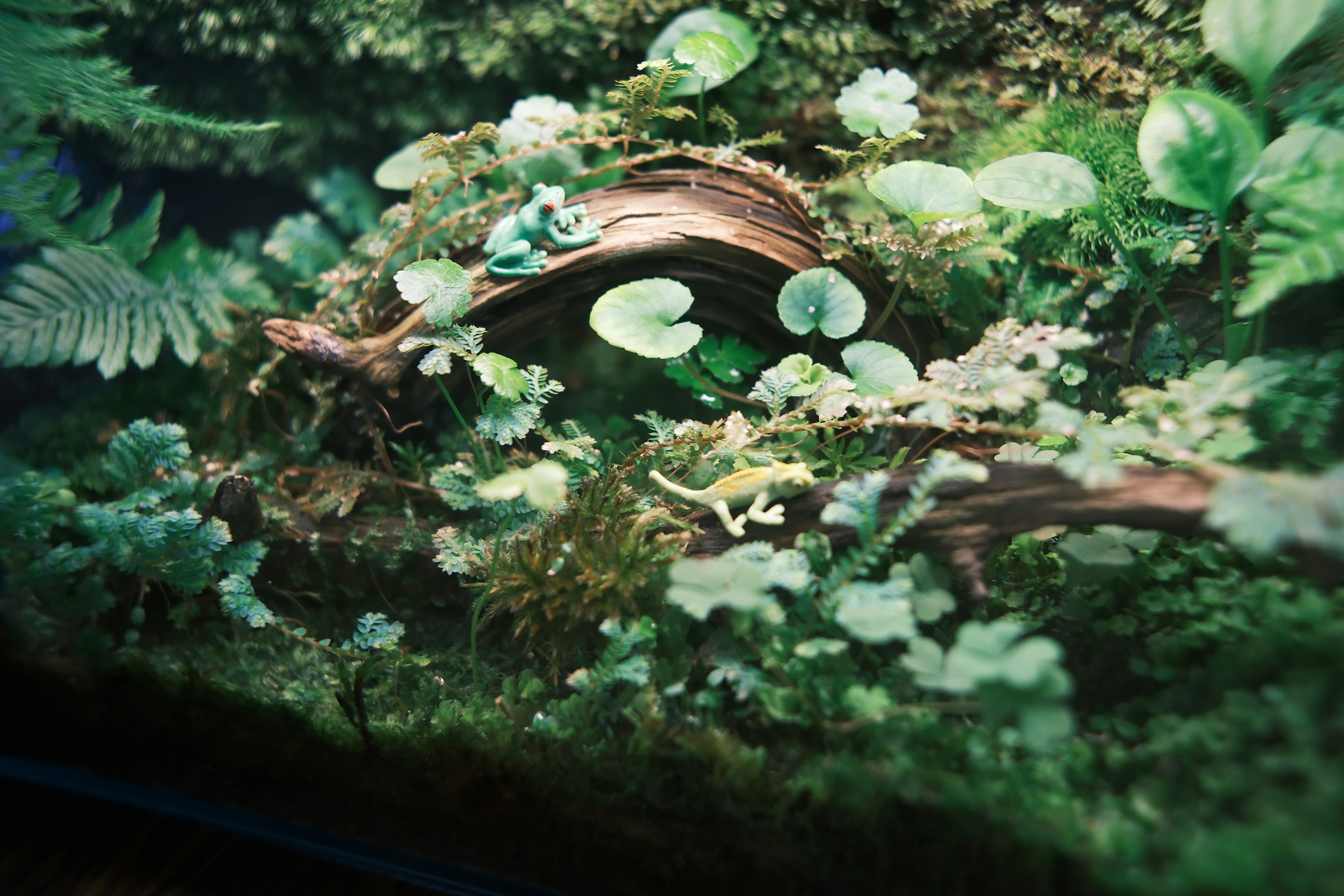 Lush miniature scene featuring vibrant greenery, delicate leaves, and small frogs nestled among moss-covered logs. A serene representation of nature's hidden wonders.