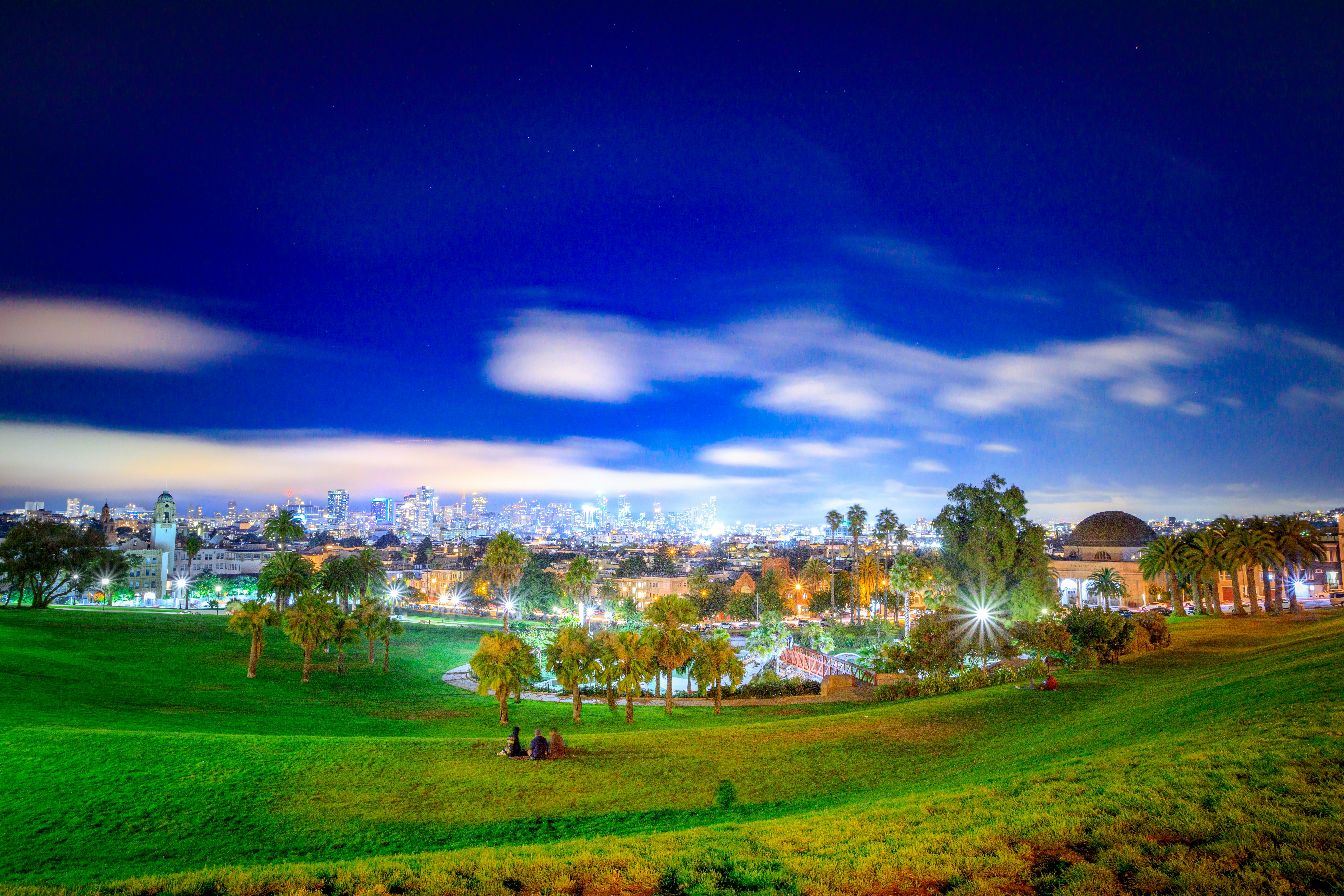 City Lights and Lush Greens: A Nighttime Harmony
