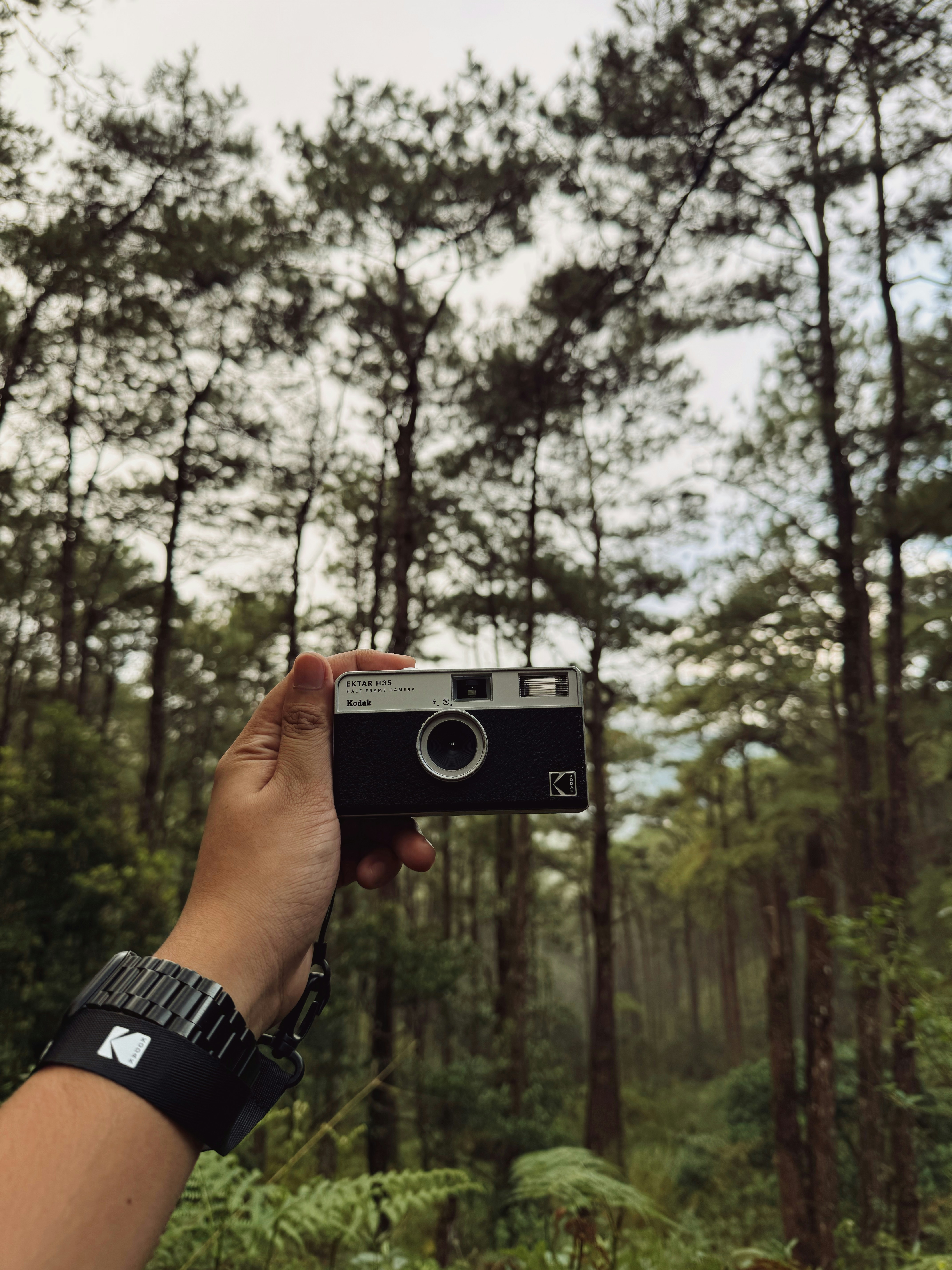 A Tribute to Timeless Photography