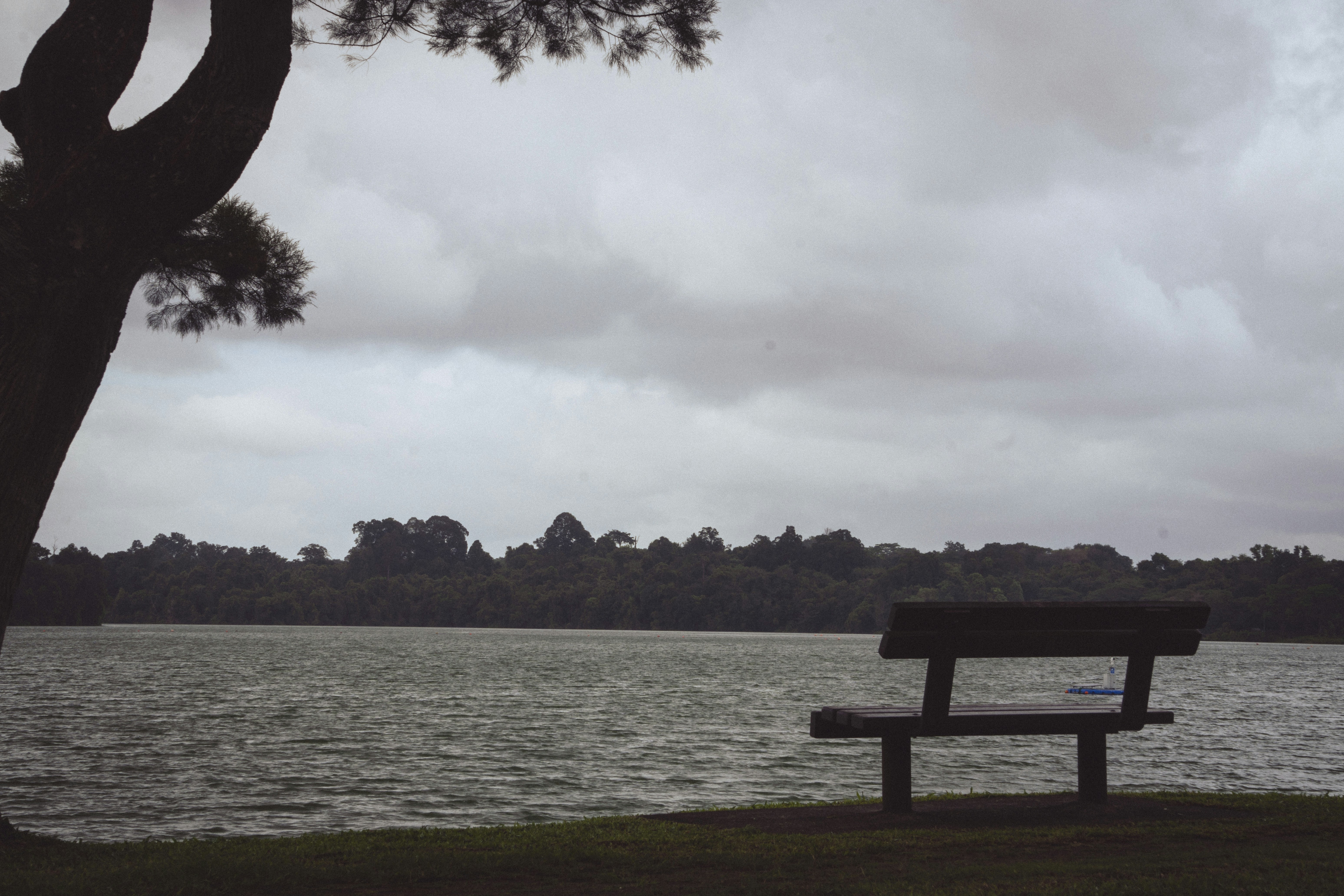 Reflections of Solitude by the Water