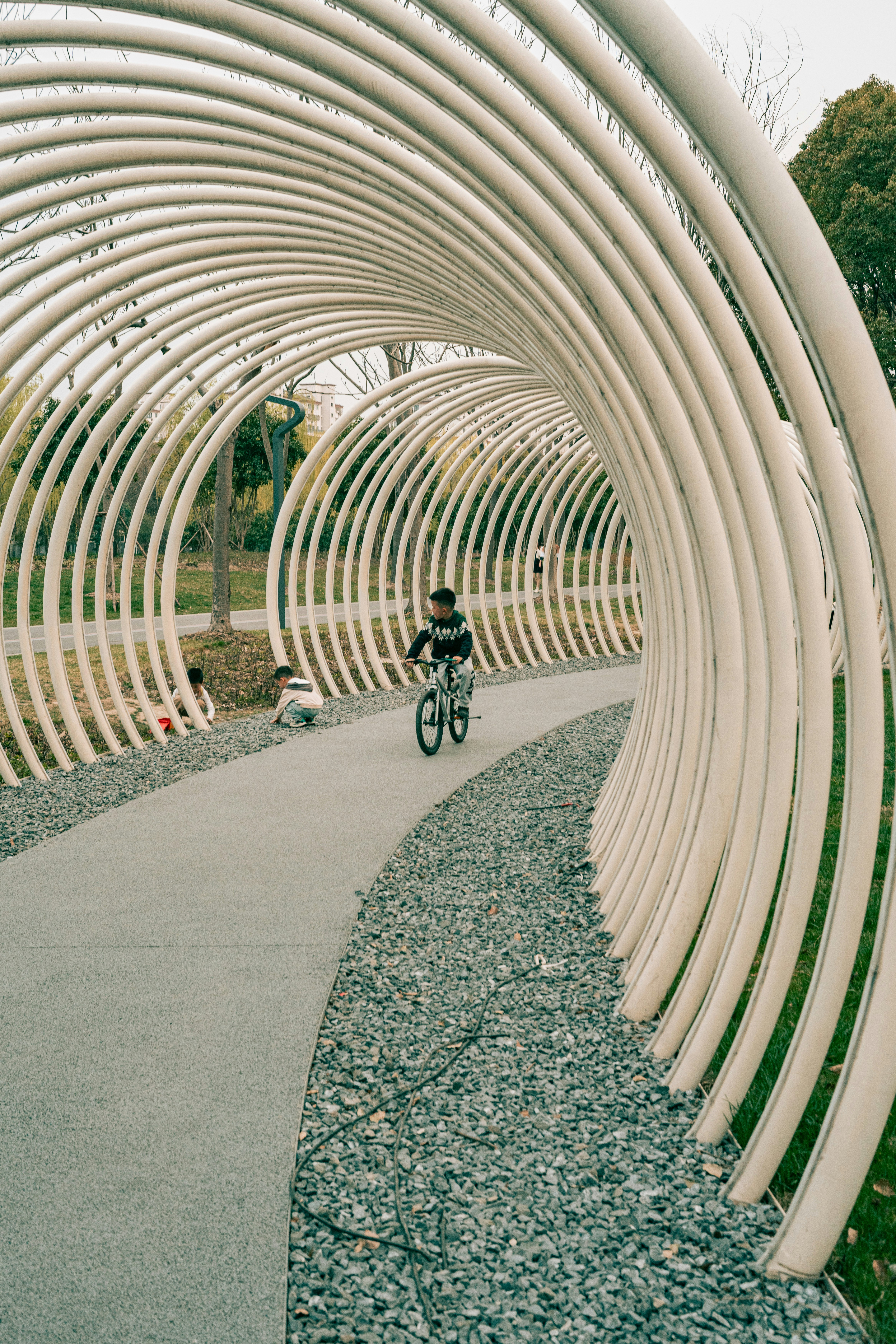 Cycling Through Curved Perspectives