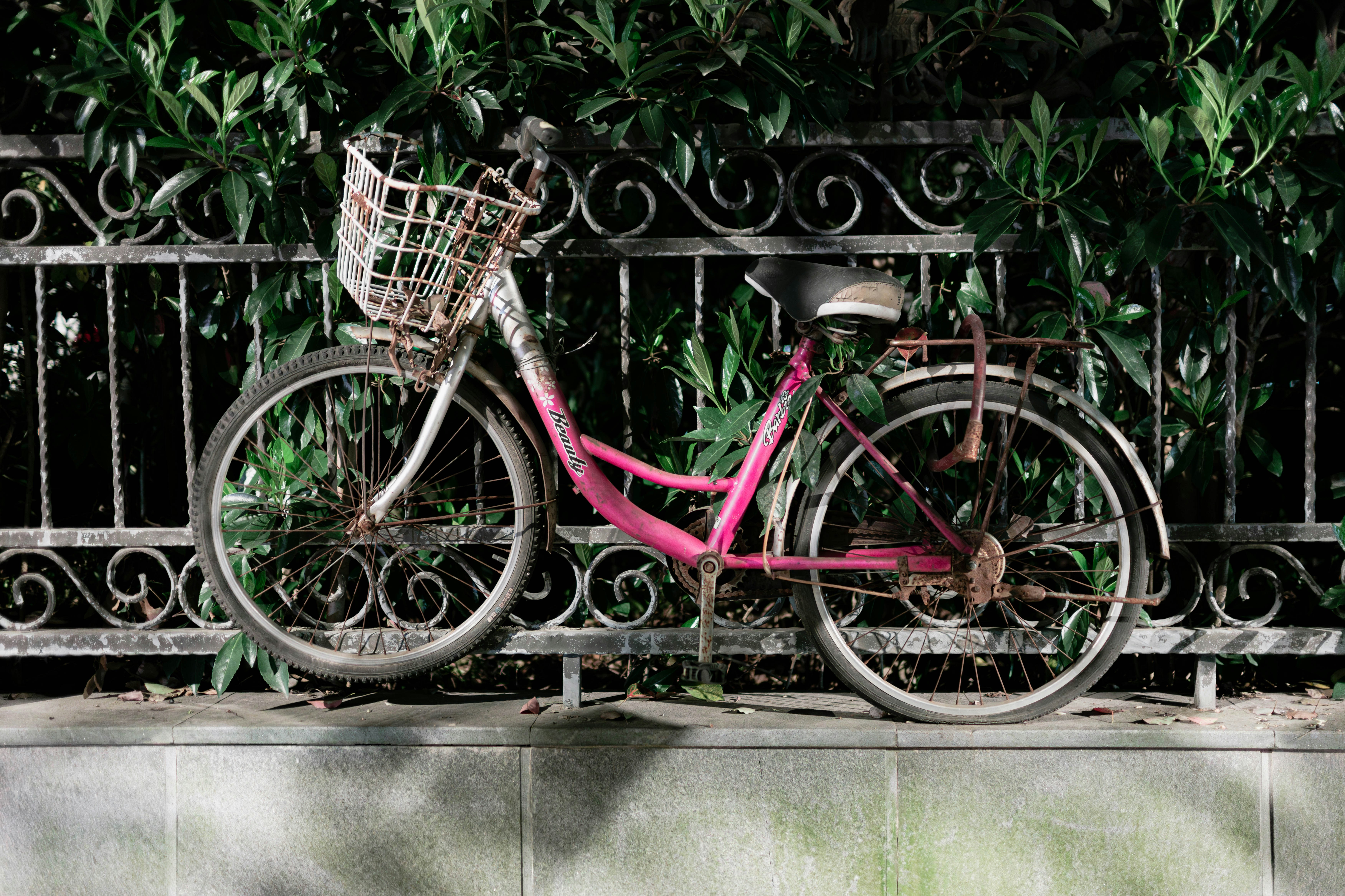 Pink bicycle with basket parked near fence