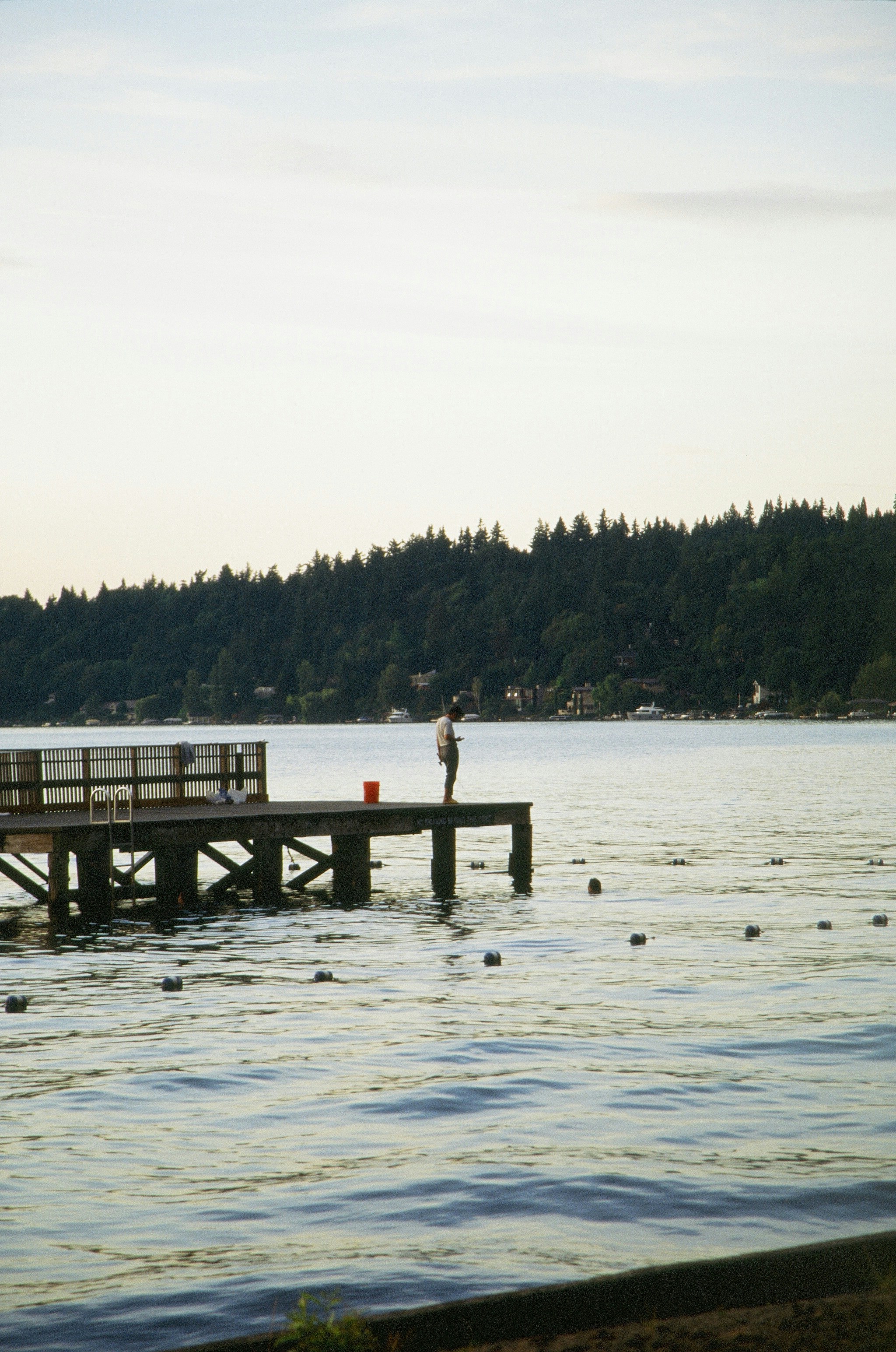 Person standing on a wooden pier by the water.