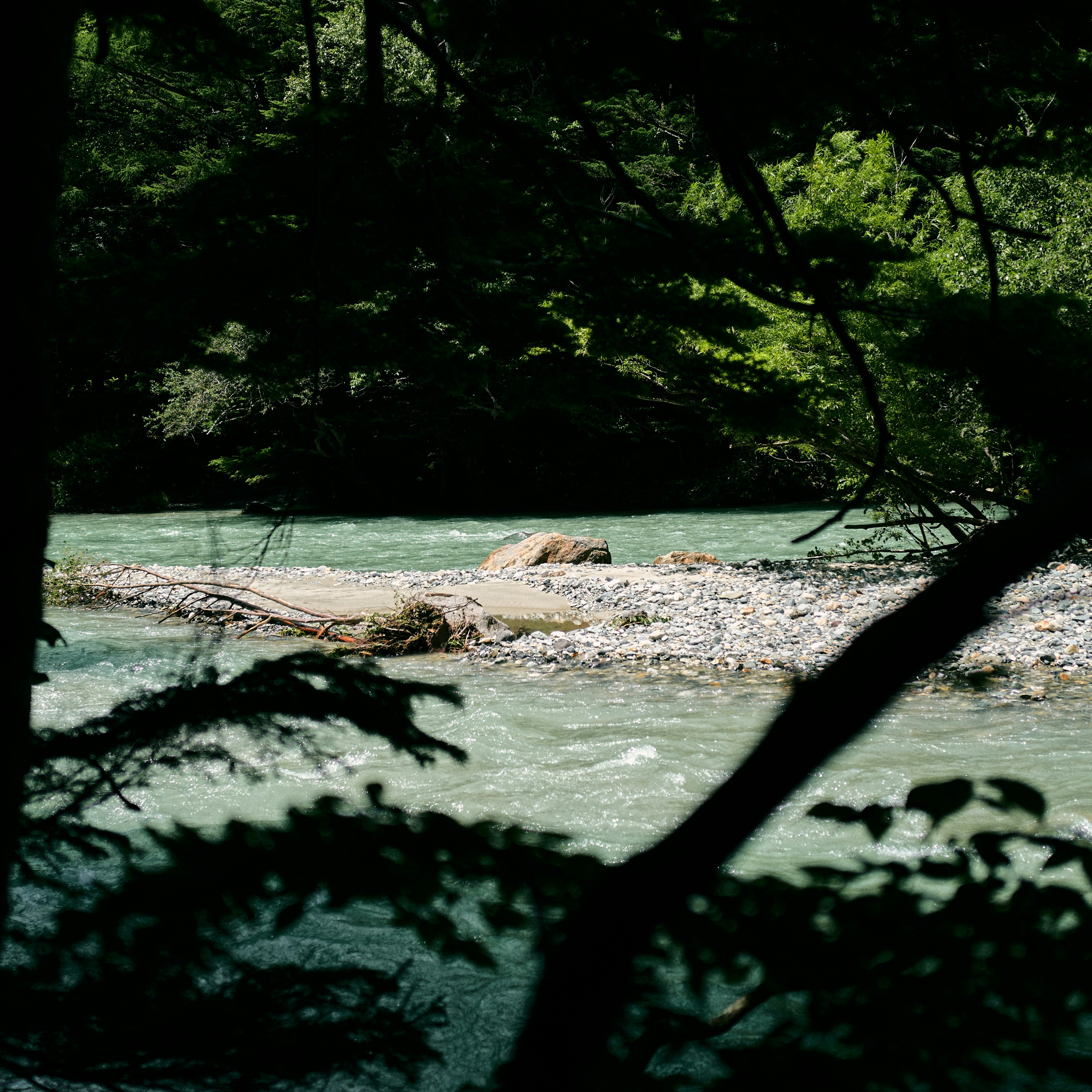 Whispers of the Riverbank