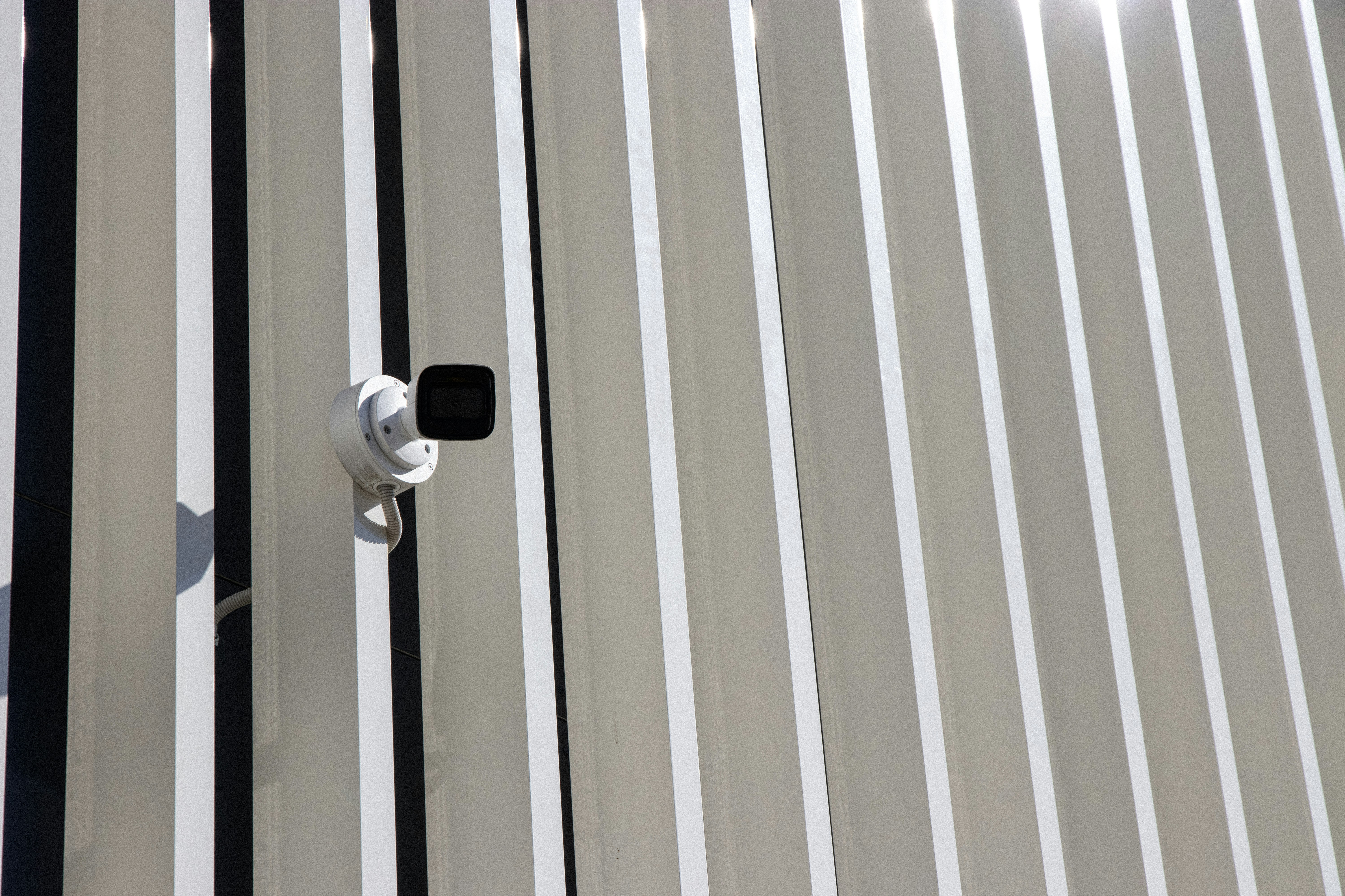 Surveillance in Stripes: A Modern Perspective